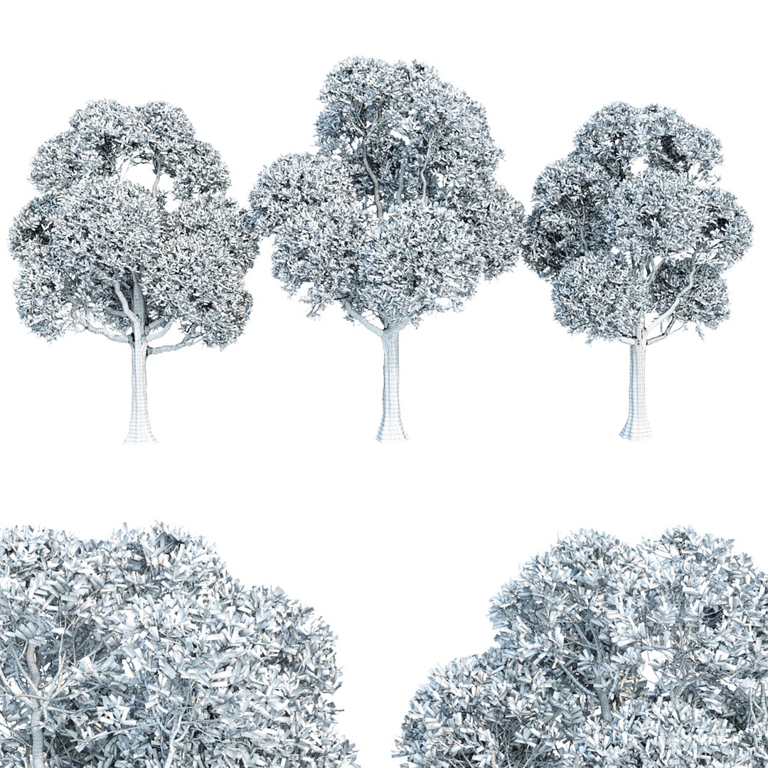 3D Model Outdoor Trees Collection Vol 93 - TurboSquid 1964515