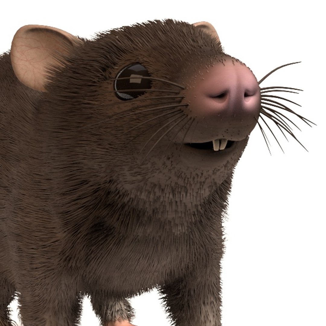 Mouse Mus Musculus 3d 3ds