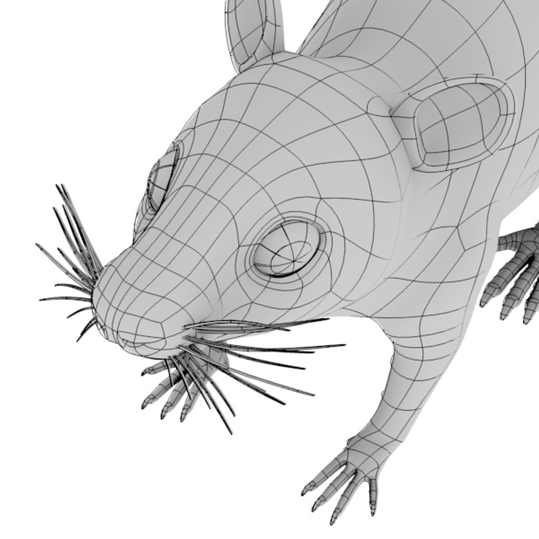 Mouse Mus Musculus 3d 3ds