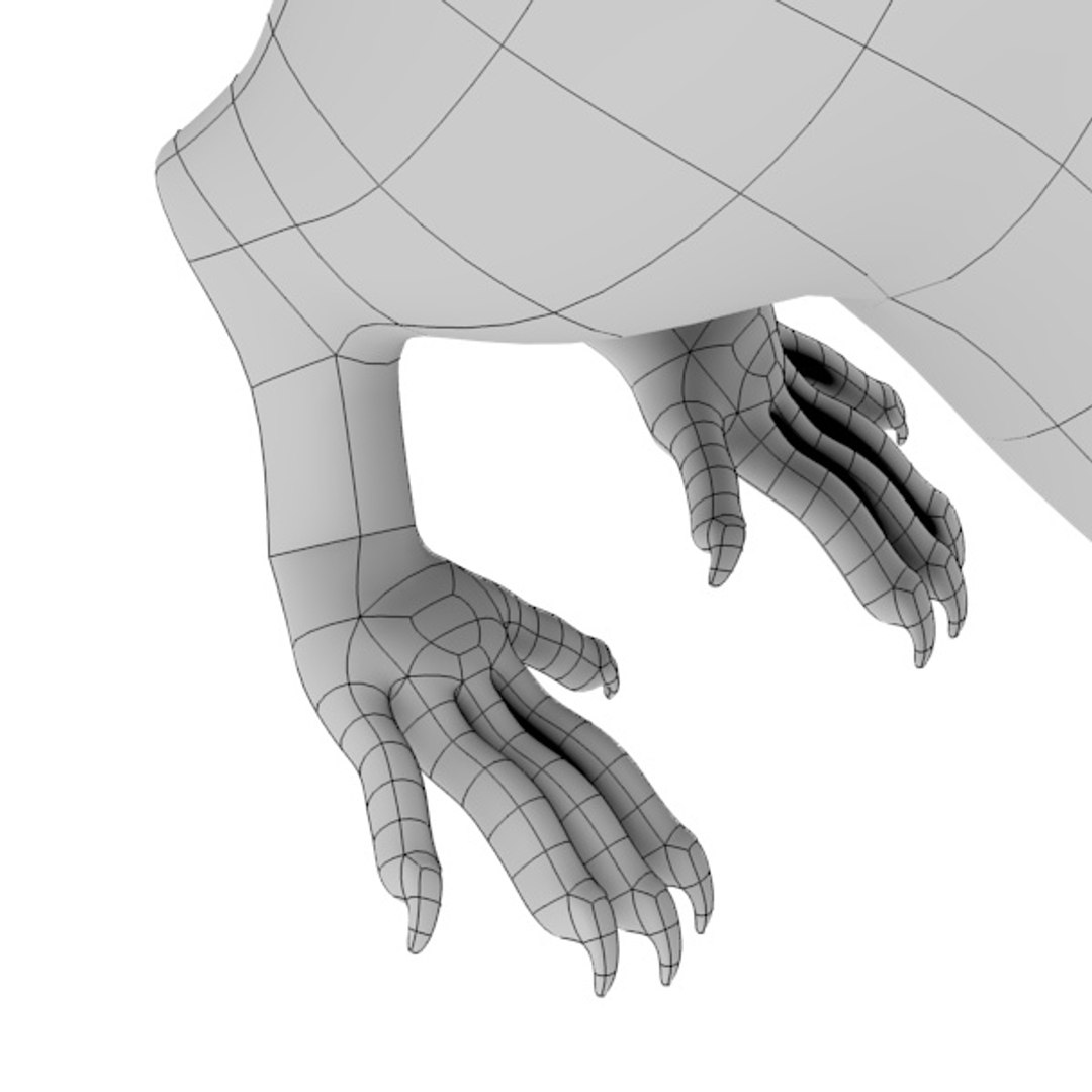 Mouse Mus Musculus 3d 3ds