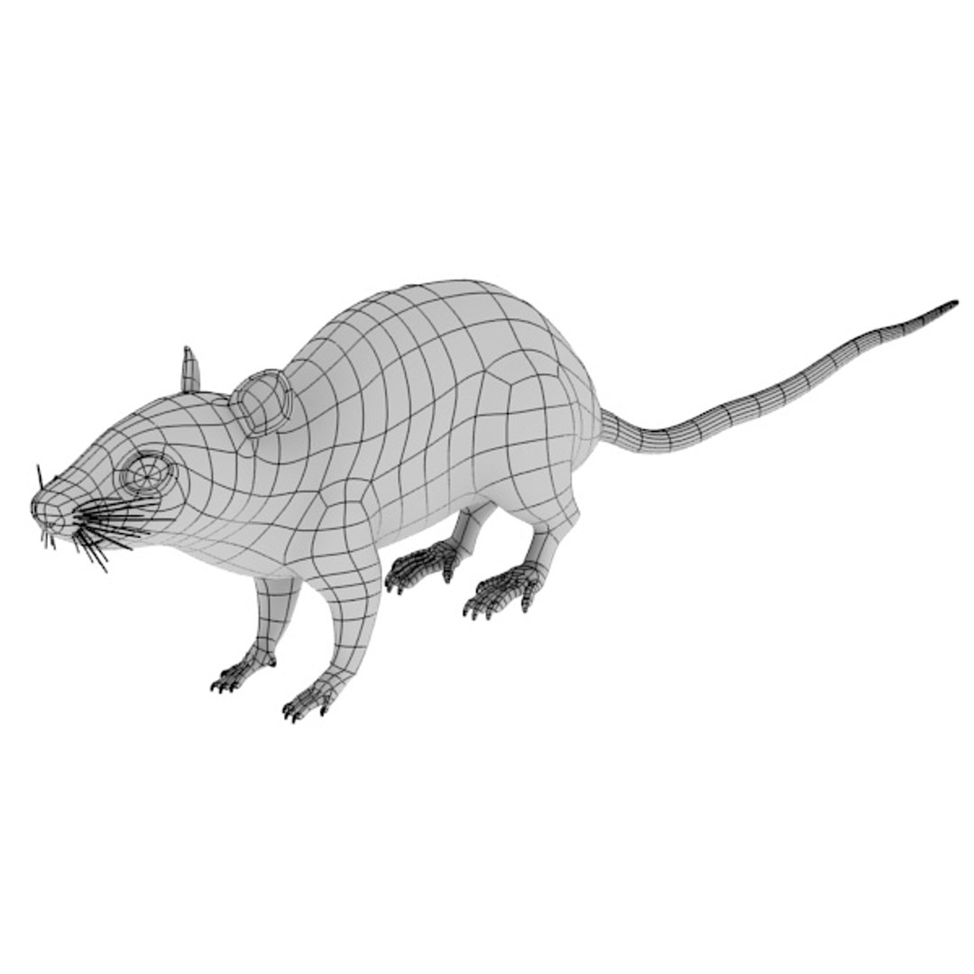 Mouse Mus Musculus 3d 3ds