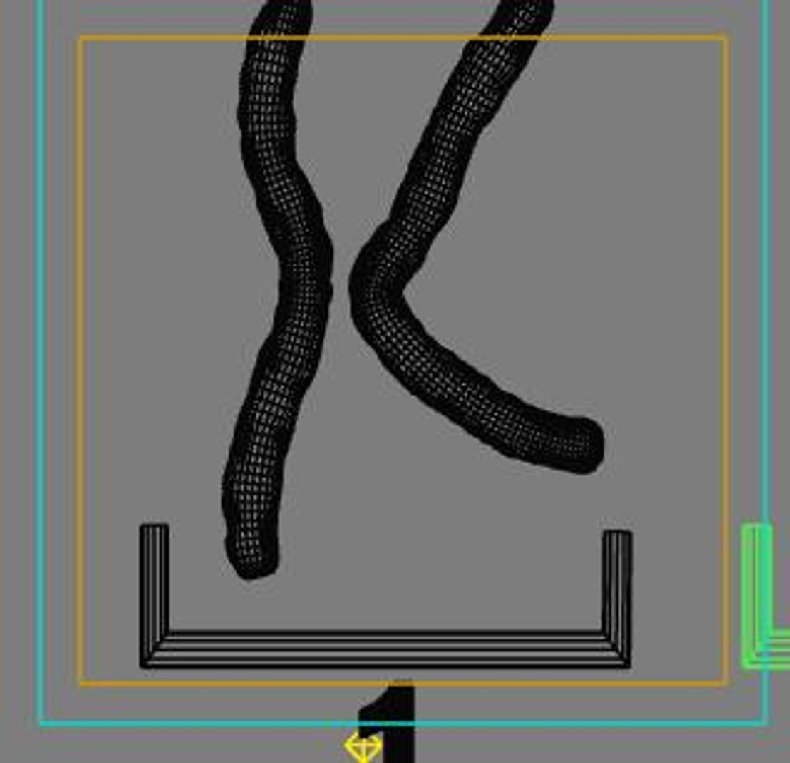 Human Chromosome Set 3d Model