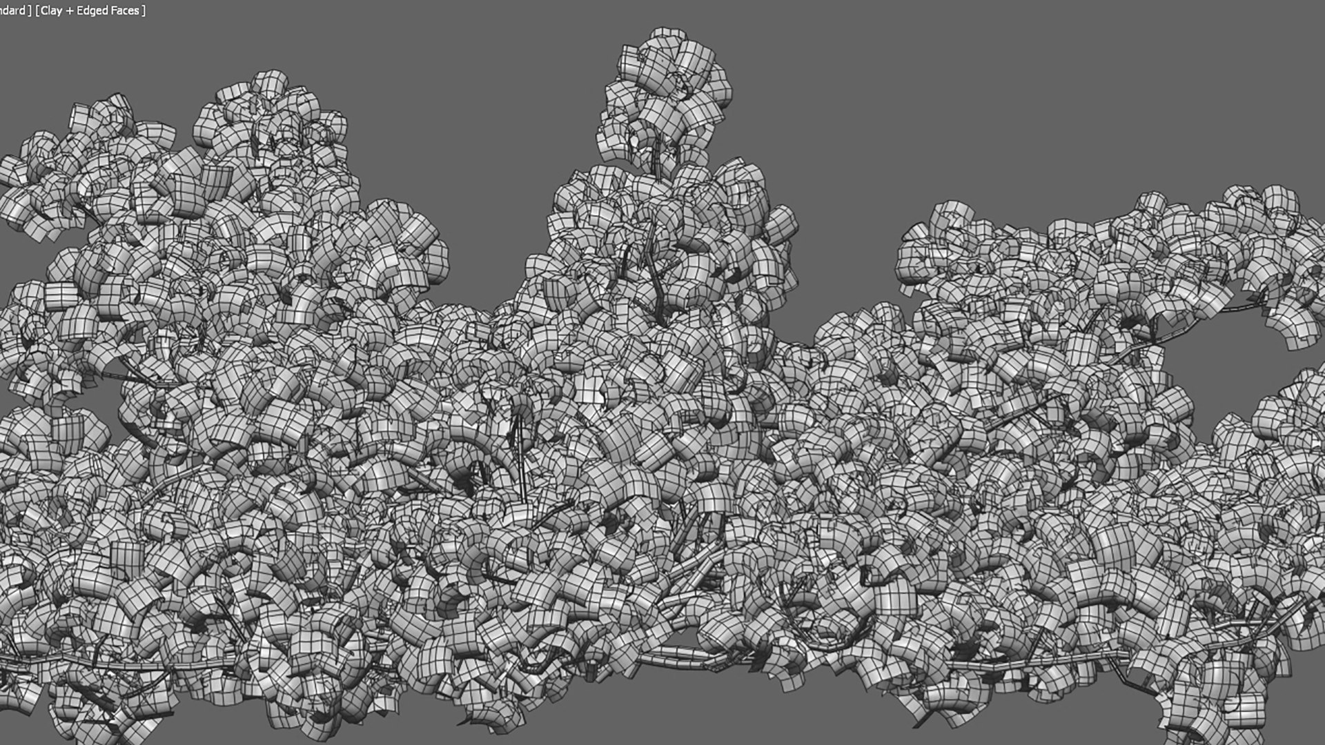 3D Aglaia Duperreana 03 Model - TurboSquid 1780190