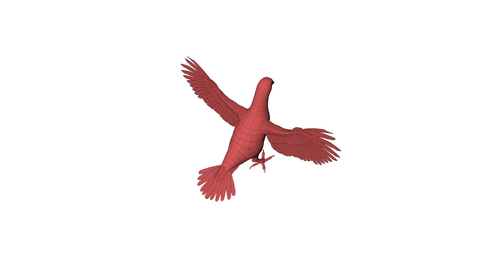 3D Mesh Pigeon Model - TurboSquid 1665066