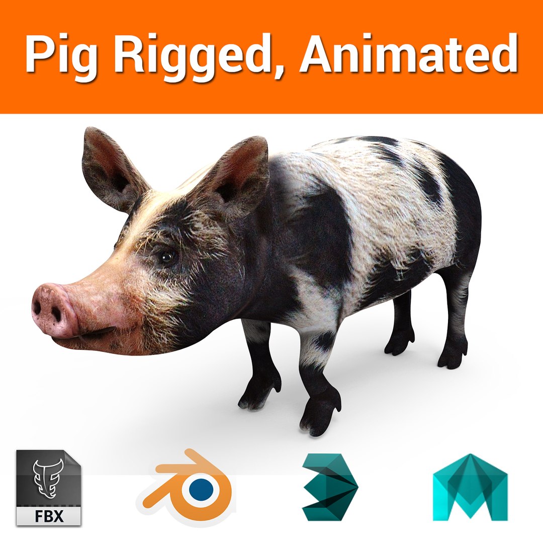 Pig rigged animation 3D - TurboSquid 1212849