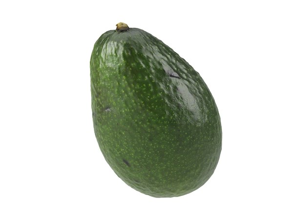 3D photorealistic scanned avocado - TurboSquid 1287635