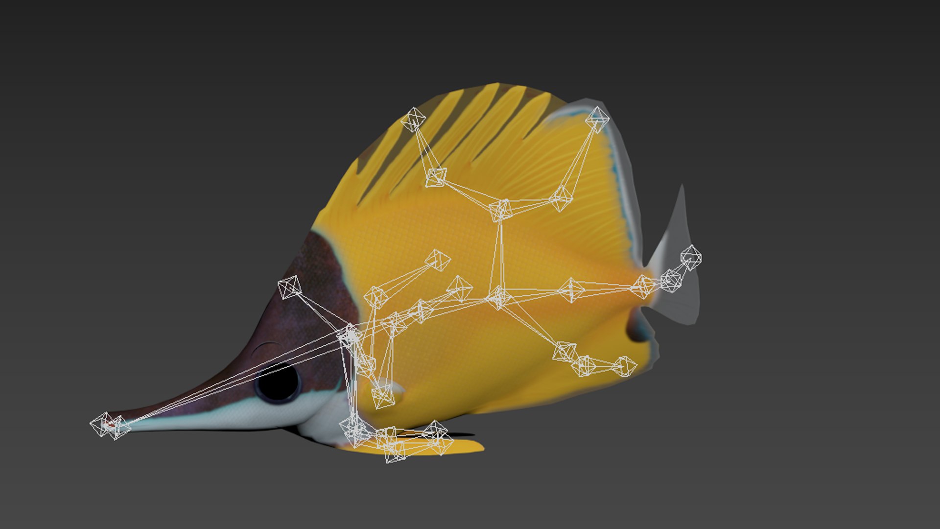 Forceps Fish Rigged 3D Model - TurboSquid 2293272