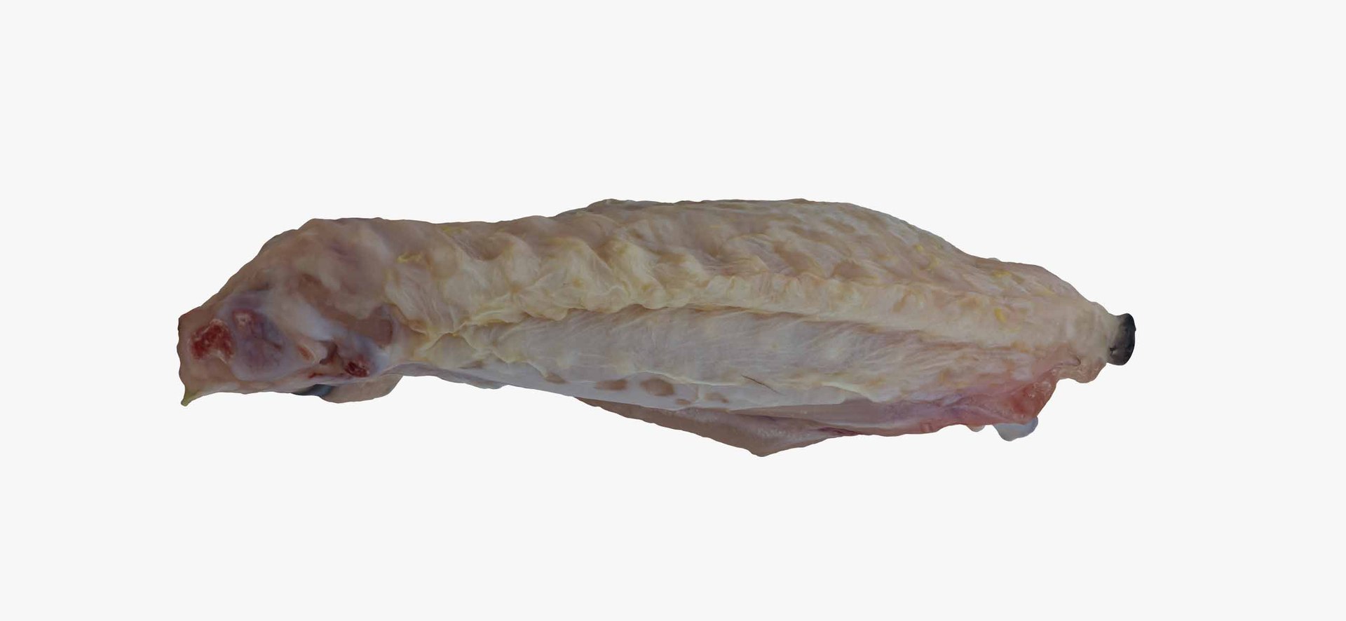 3D Chicken Wing 03 RAW Scan - TurboSquid 1819817