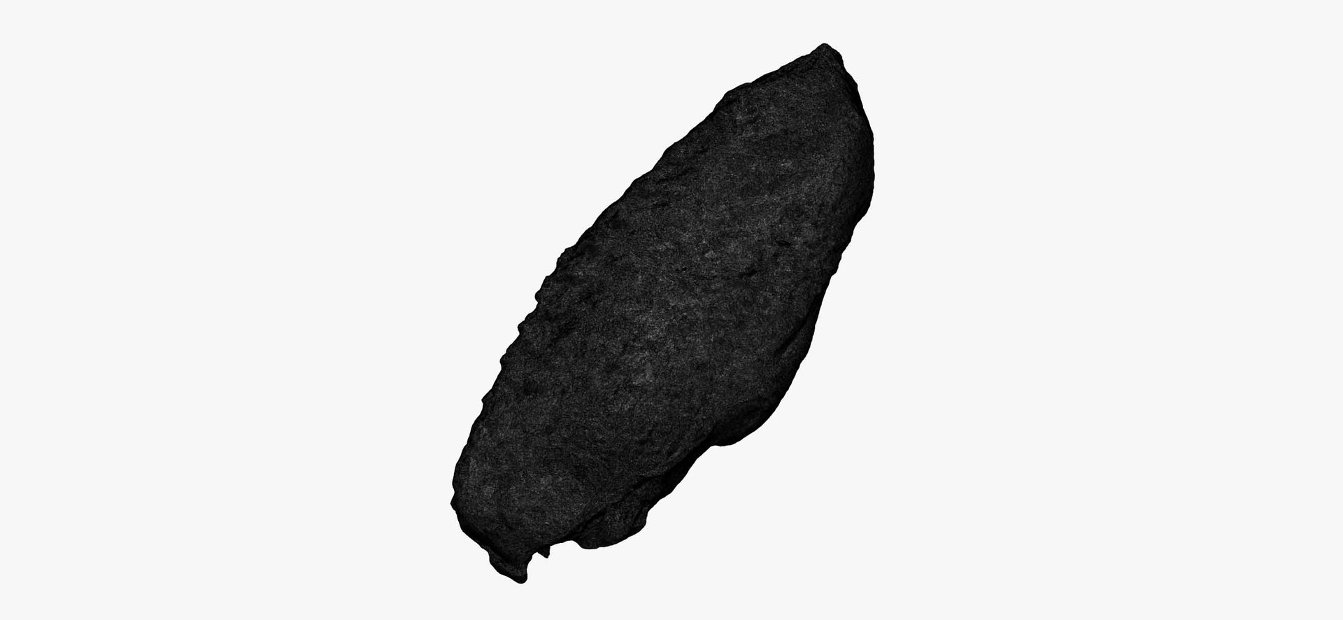 3D Chicken Wing 03 RAW Scan - TurboSquid 1819817