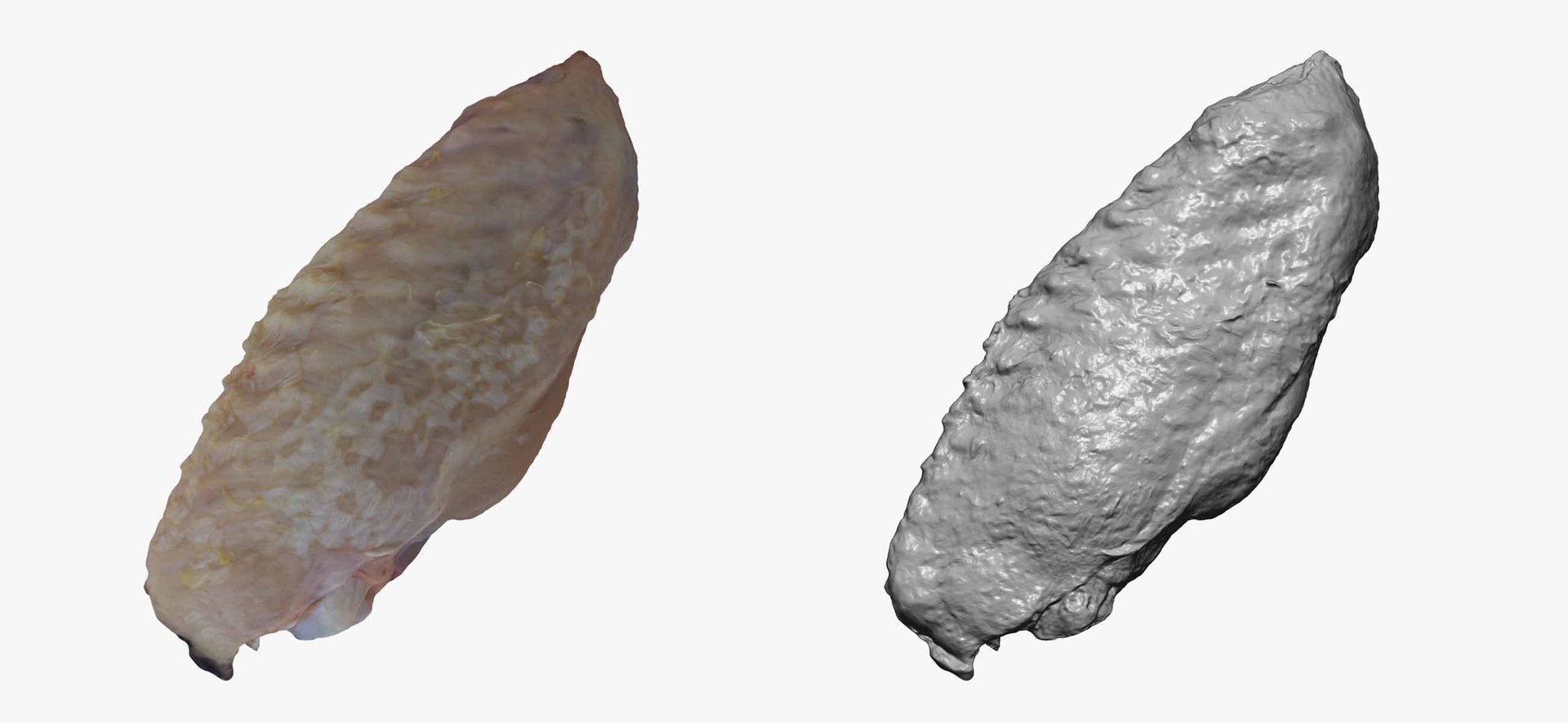 3D Chicken Wing 03 RAW Scan - TurboSquid 1819817