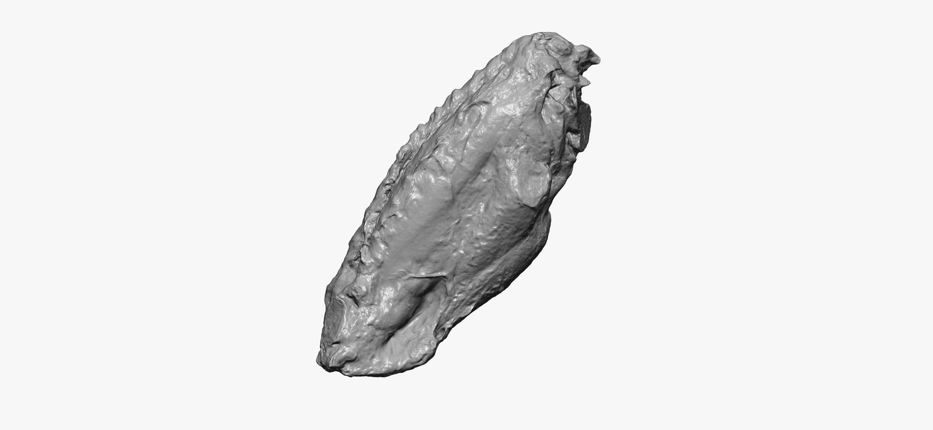 3D Chicken Wing 03 RAW Scan - TurboSquid 1819817