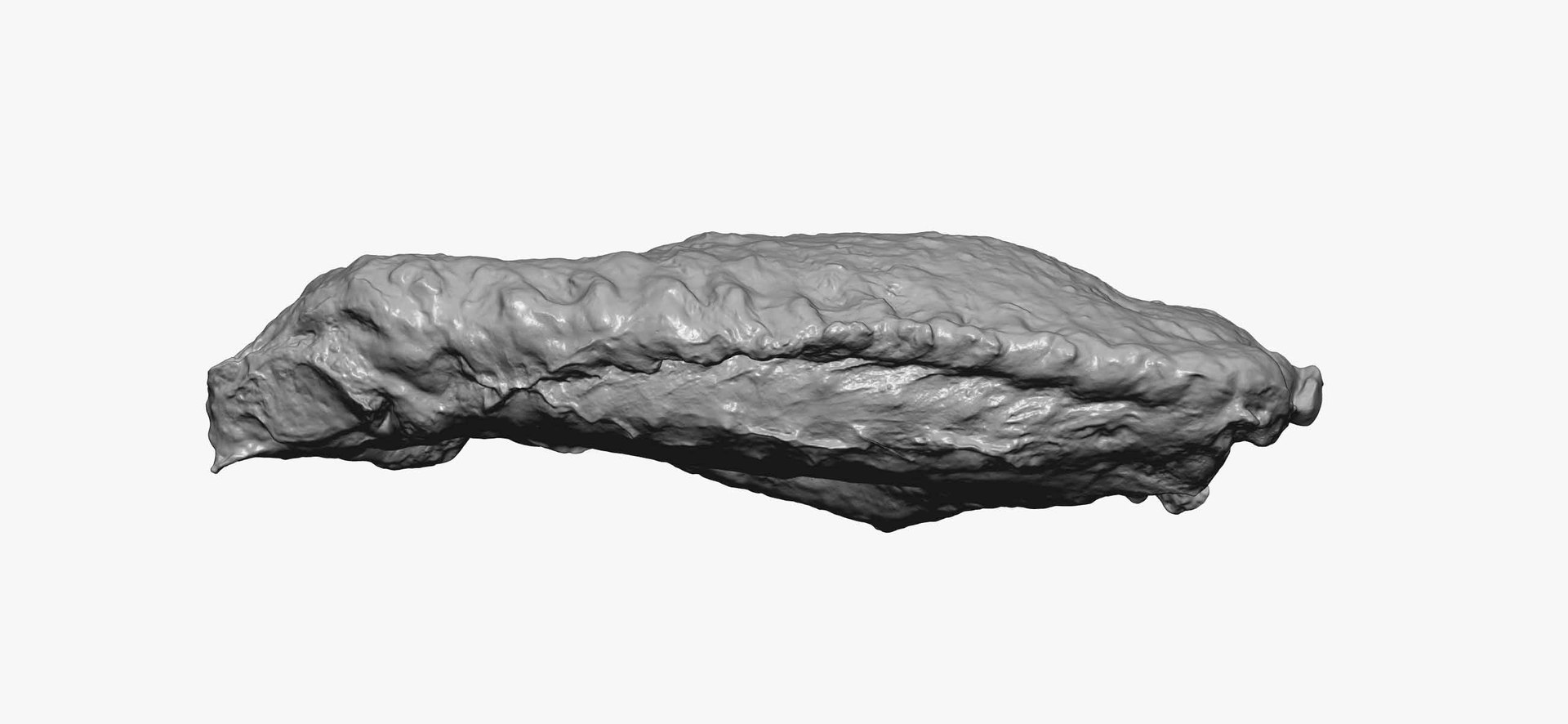 3D Chicken Wing 03 RAW Scan - TurboSquid 1819817