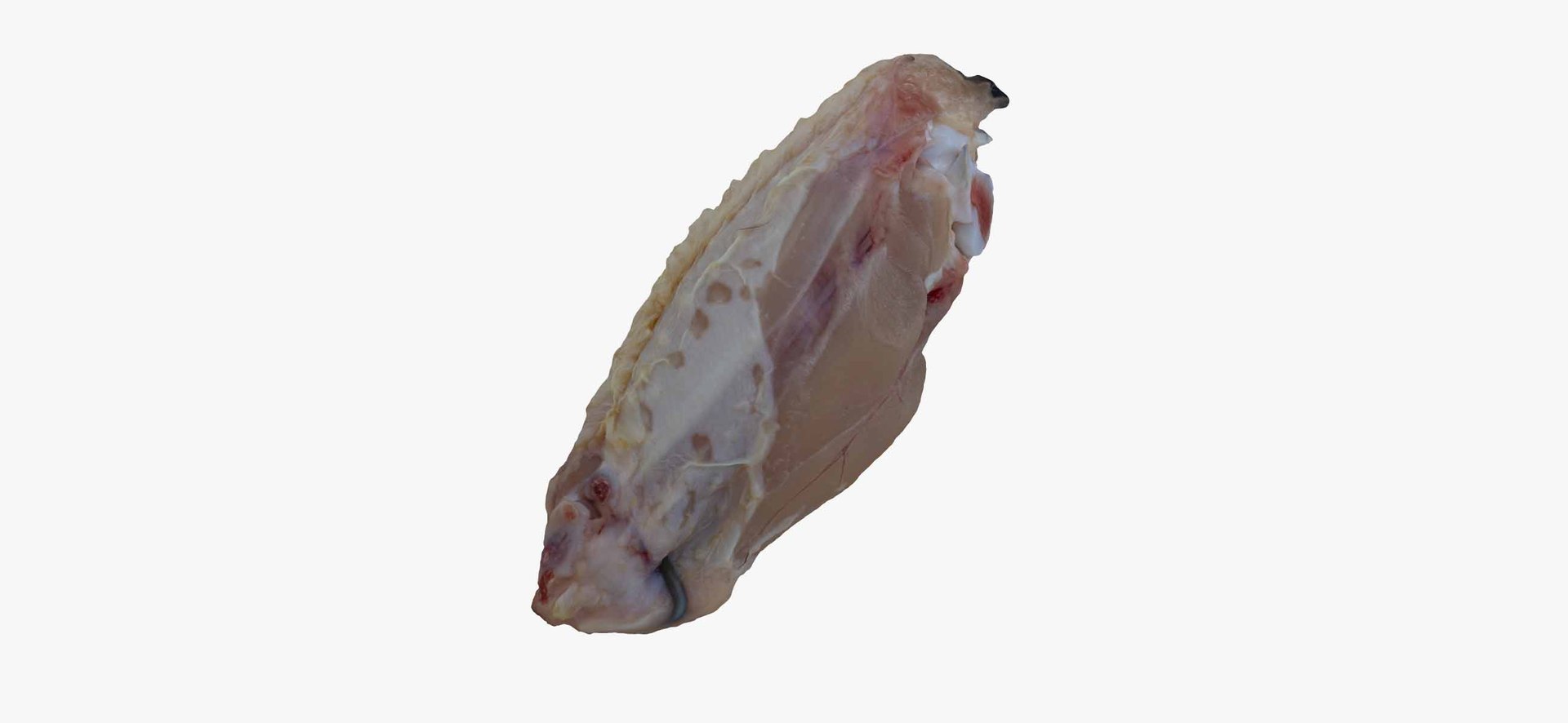3D Chicken Wing 03 RAW Scan - TurboSquid 1819817