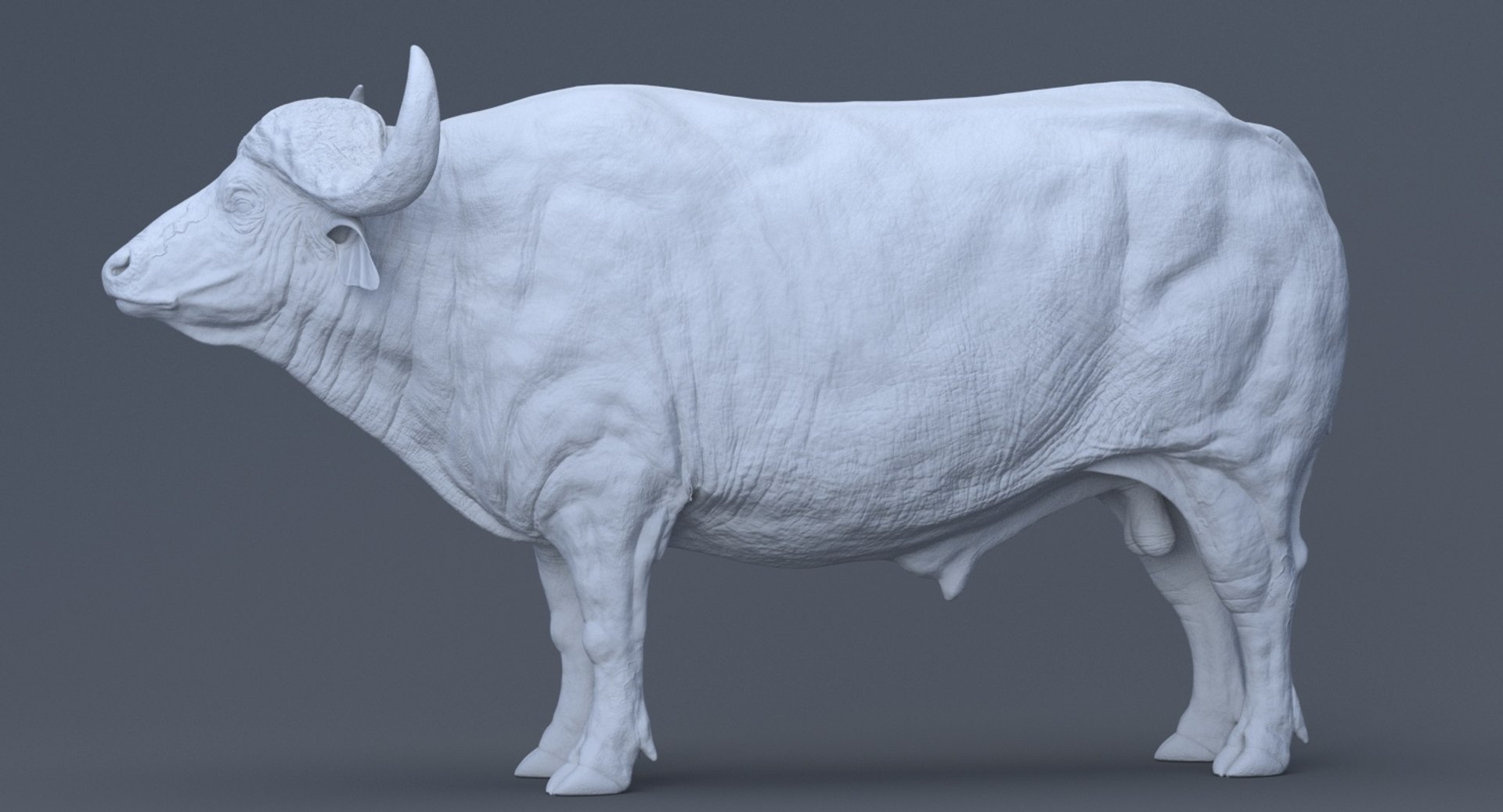 3D African Buffalo Rigged Animations Model - TurboSquid 1279397