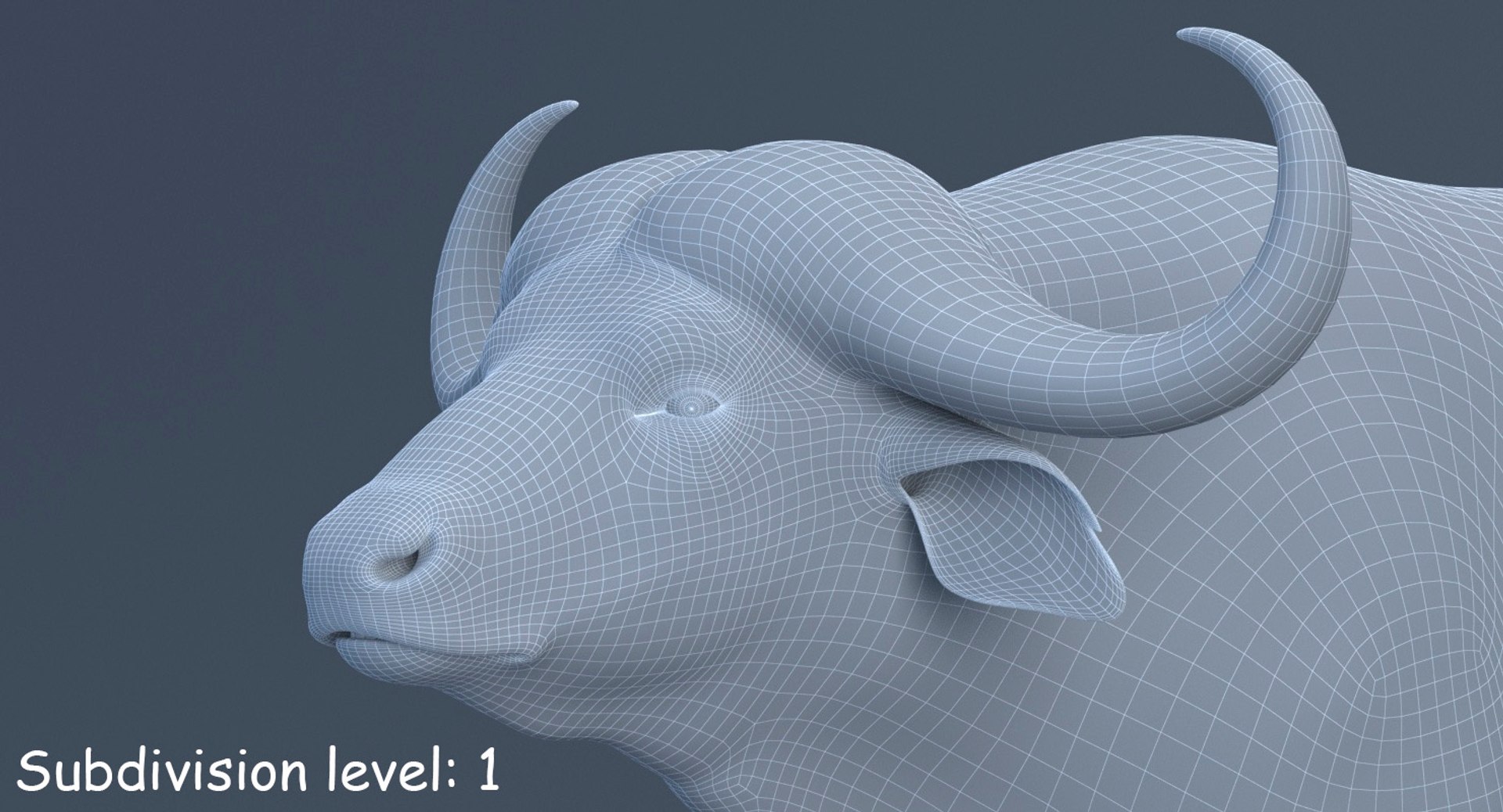 3D African Buffalo Rigged Animations Model - TurboSquid 1279397
