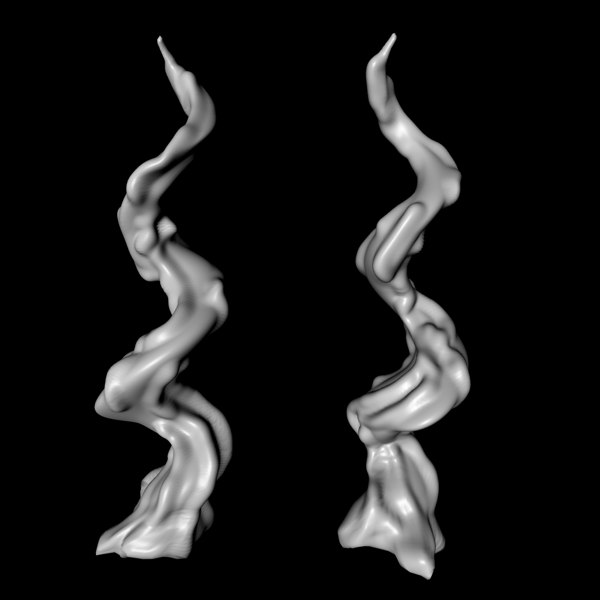 Free 3D Roots Models | TurboSquid