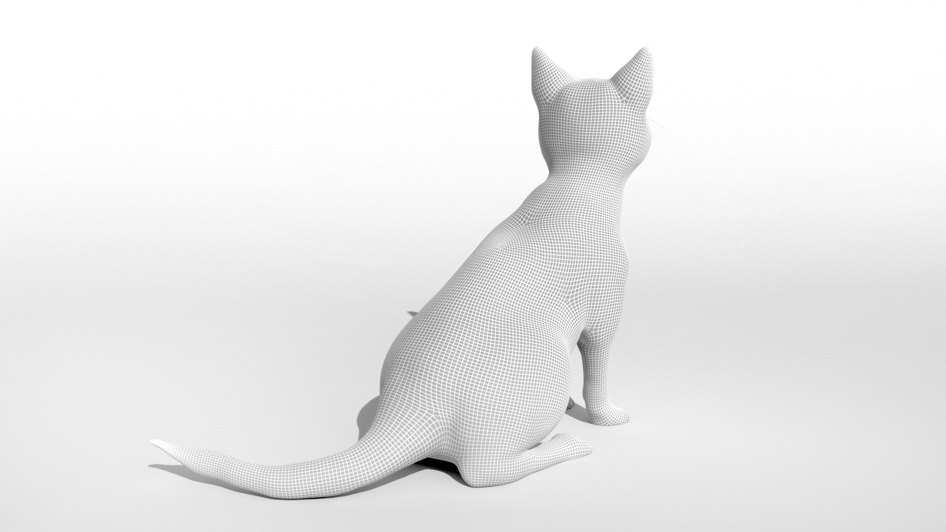 Cat pet 3D model - TurboSquid 1691246