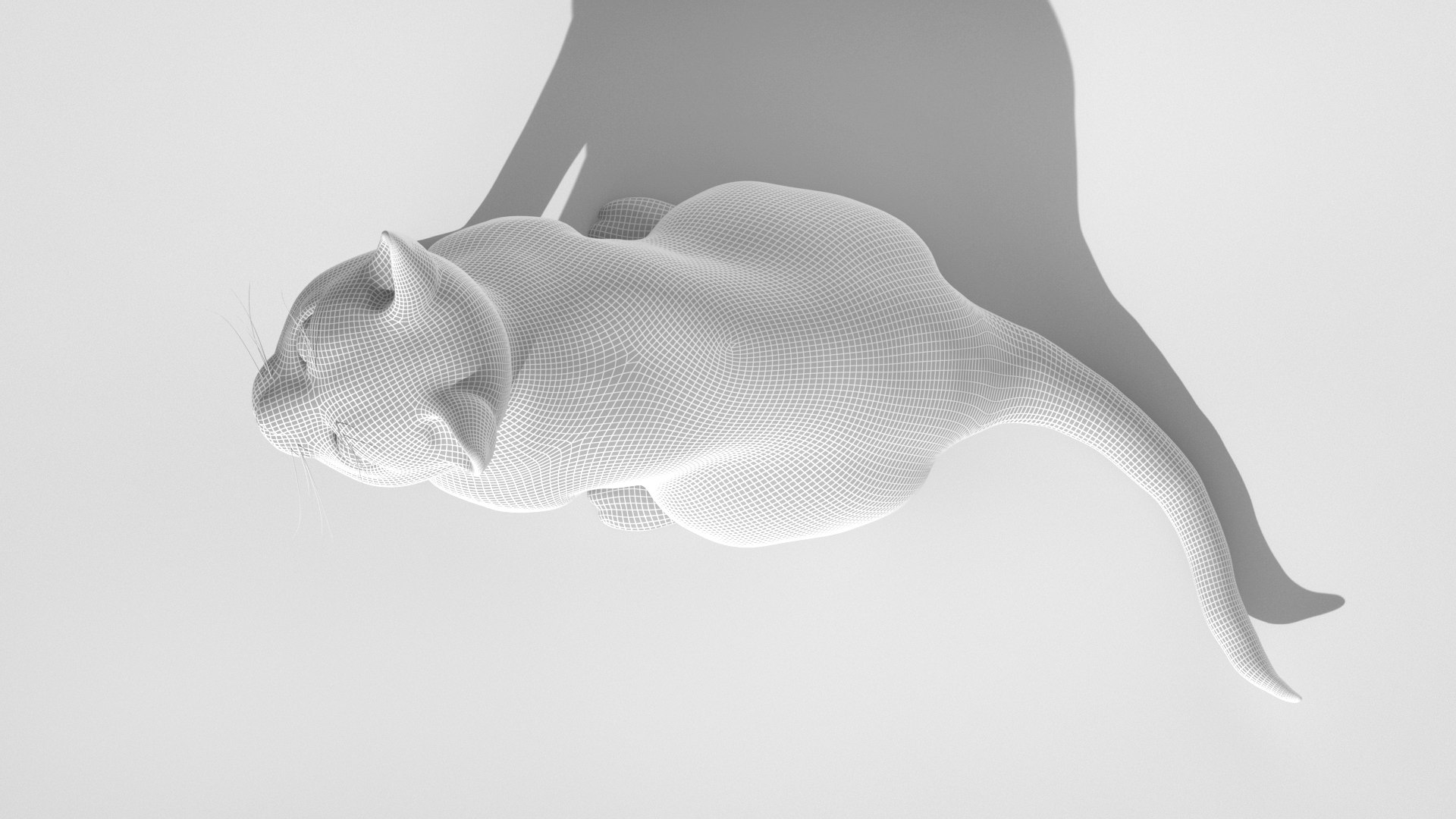 Cat Pet 3D Model - TurboSquid 1691246