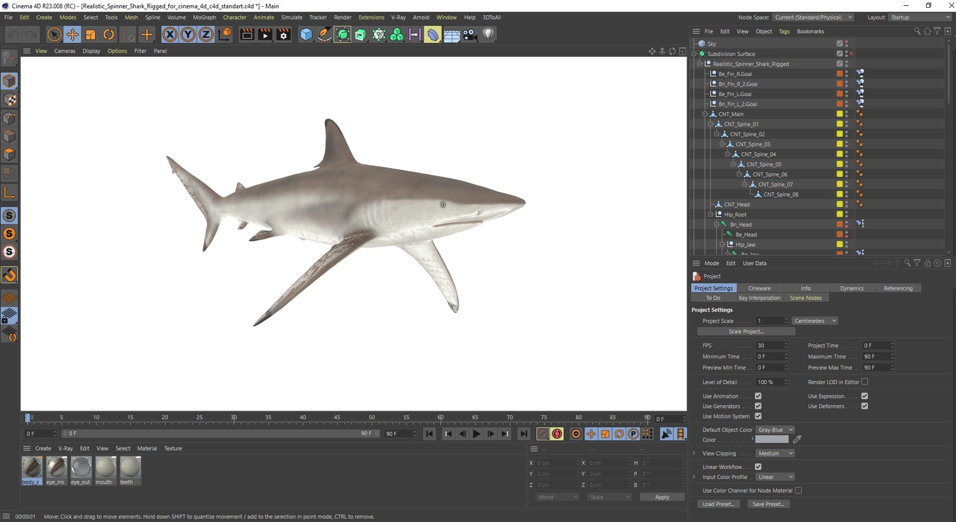 3D Realistic Spinner Shark Rigged For Cinema 4D - TurboSquid 2275996