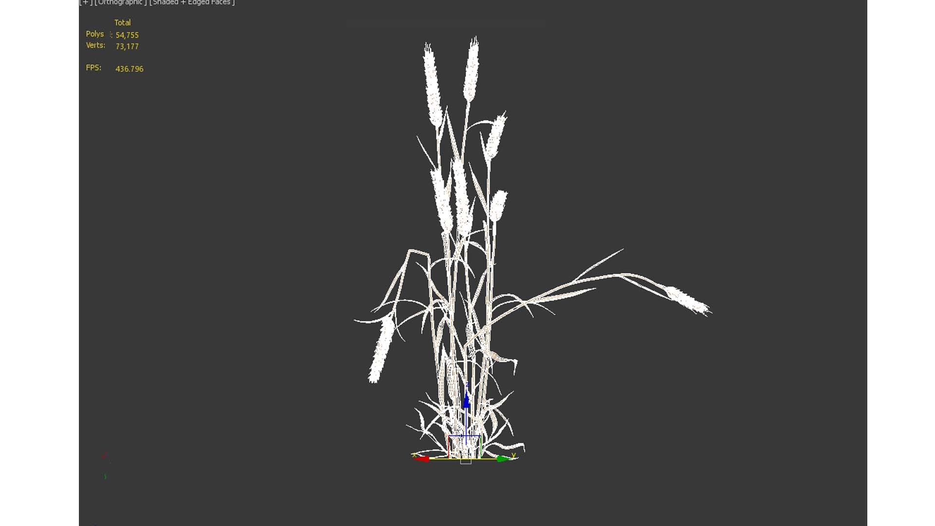 Wheat 3D Model - TurboSquid 2234979