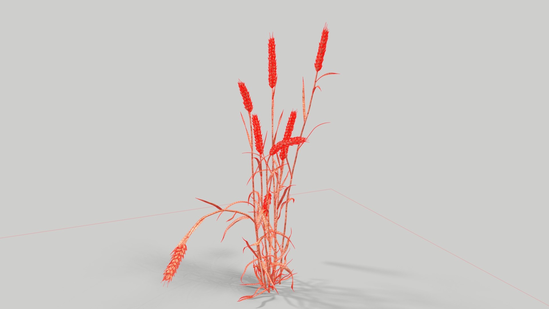 Wheat 3D Model - TurboSquid 2234979