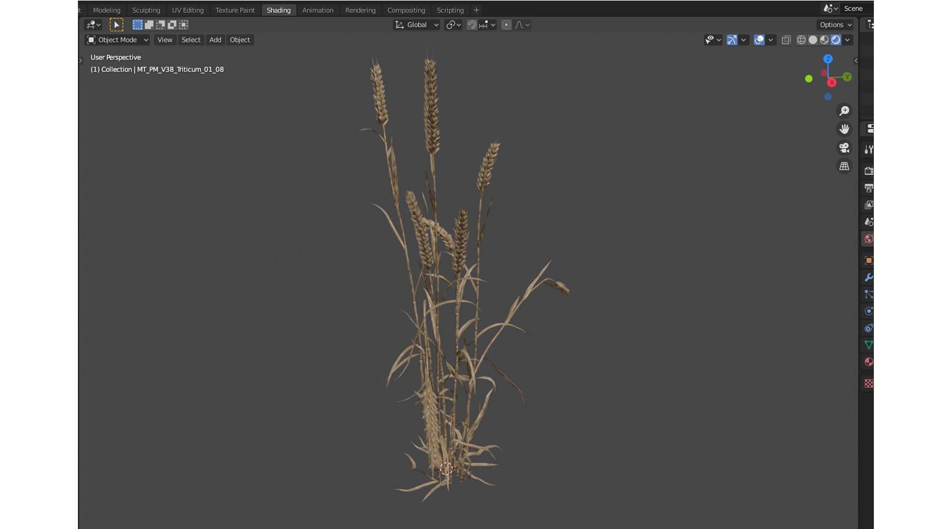 Wheat 3D Model - TurboSquid 2234979