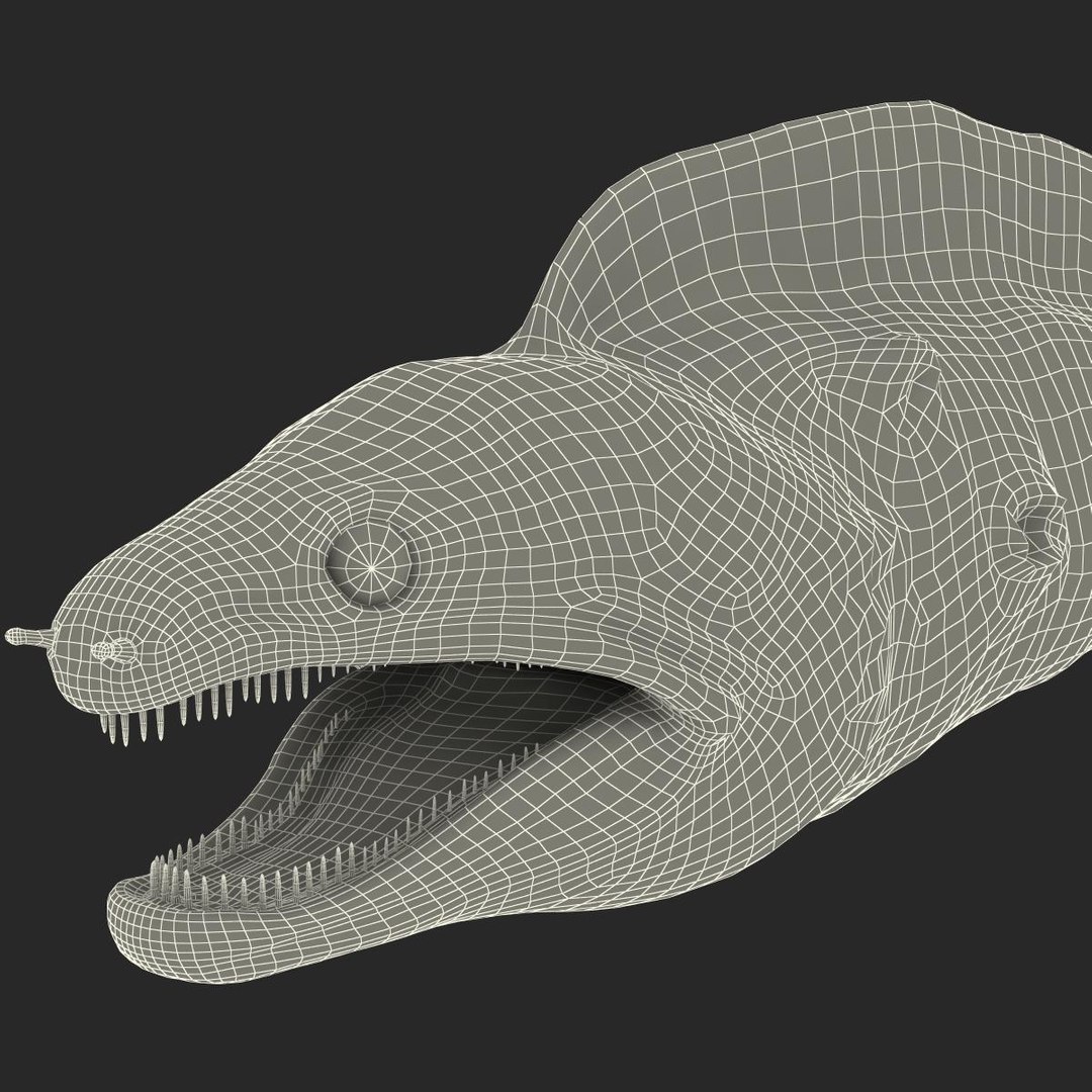 3d Model Moray Eel