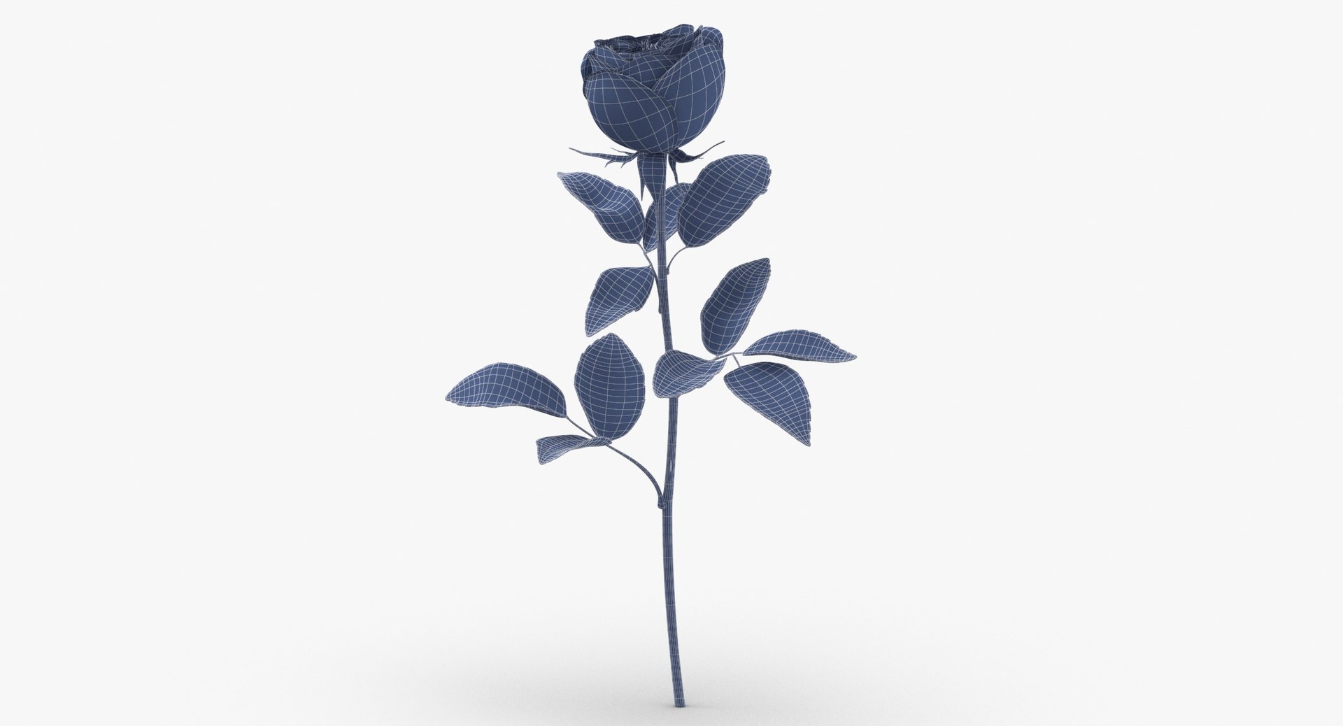 3D model garden rose - TurboSquid 1592521