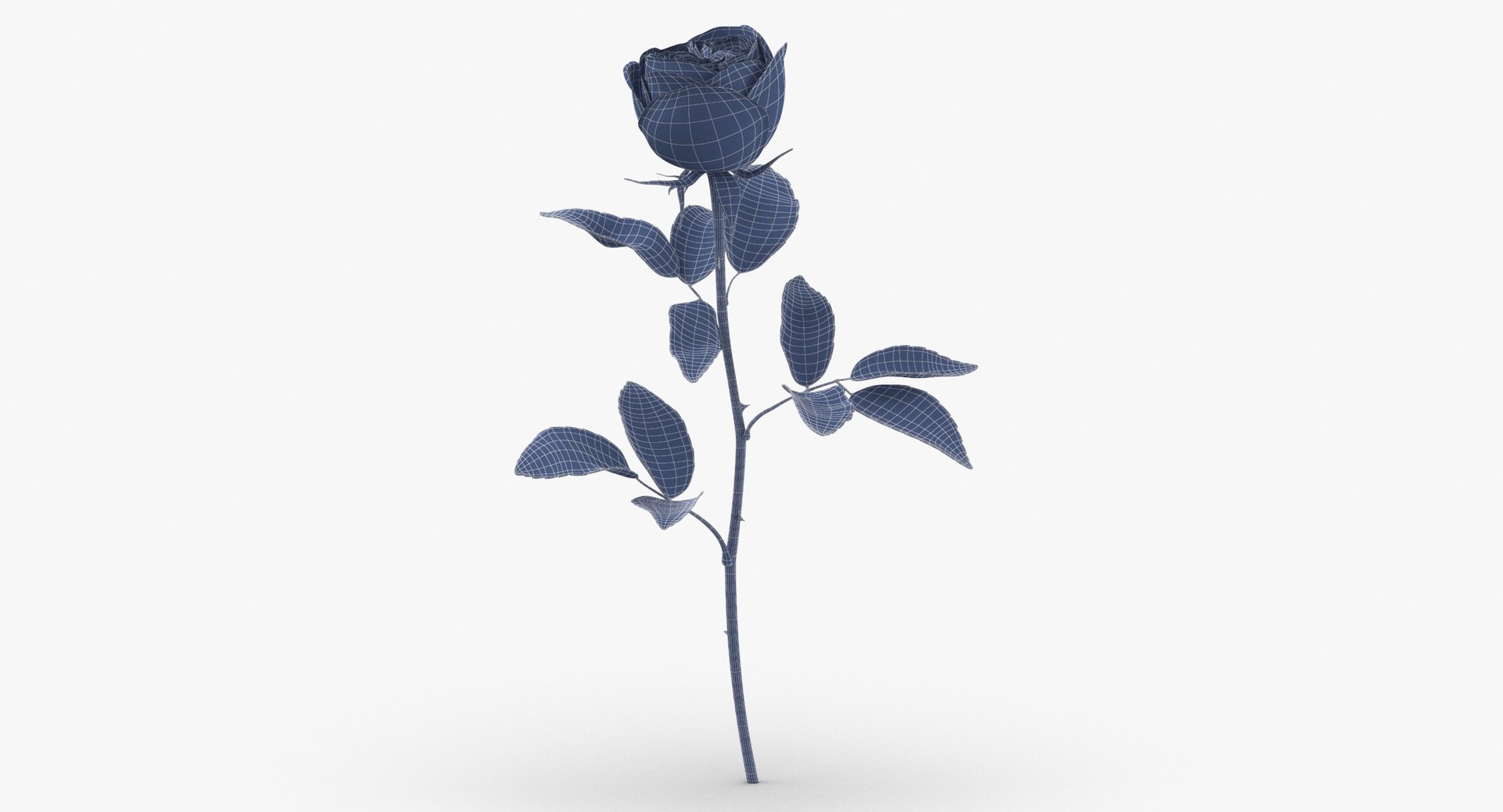3D model garden rose - TurboSquid 1592521