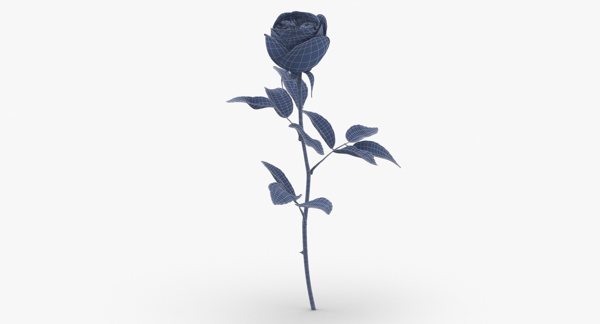 3D model garden rose - TurboSquid 1592521