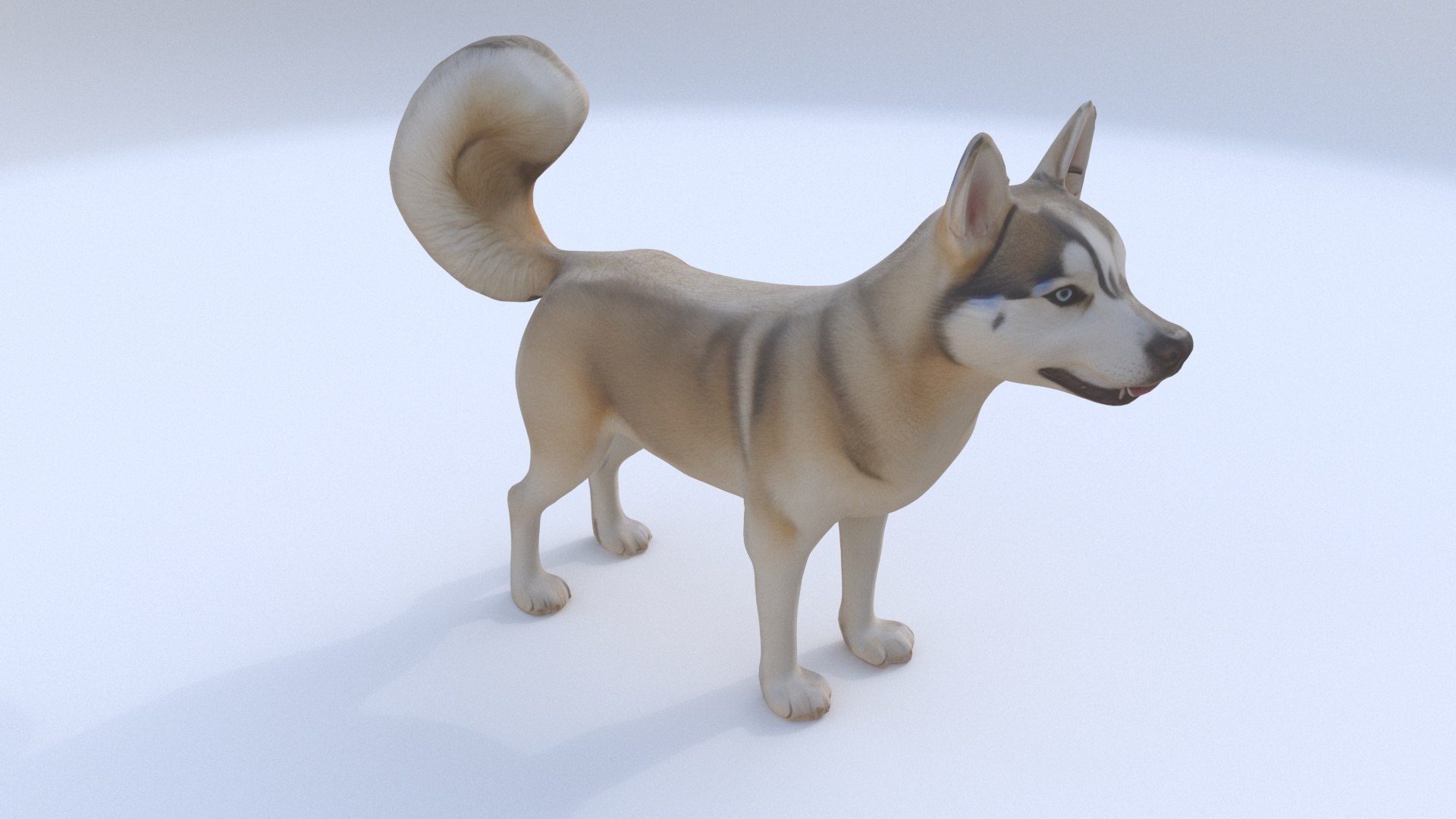 3D Siberian Husky - TurboSquid 2333766