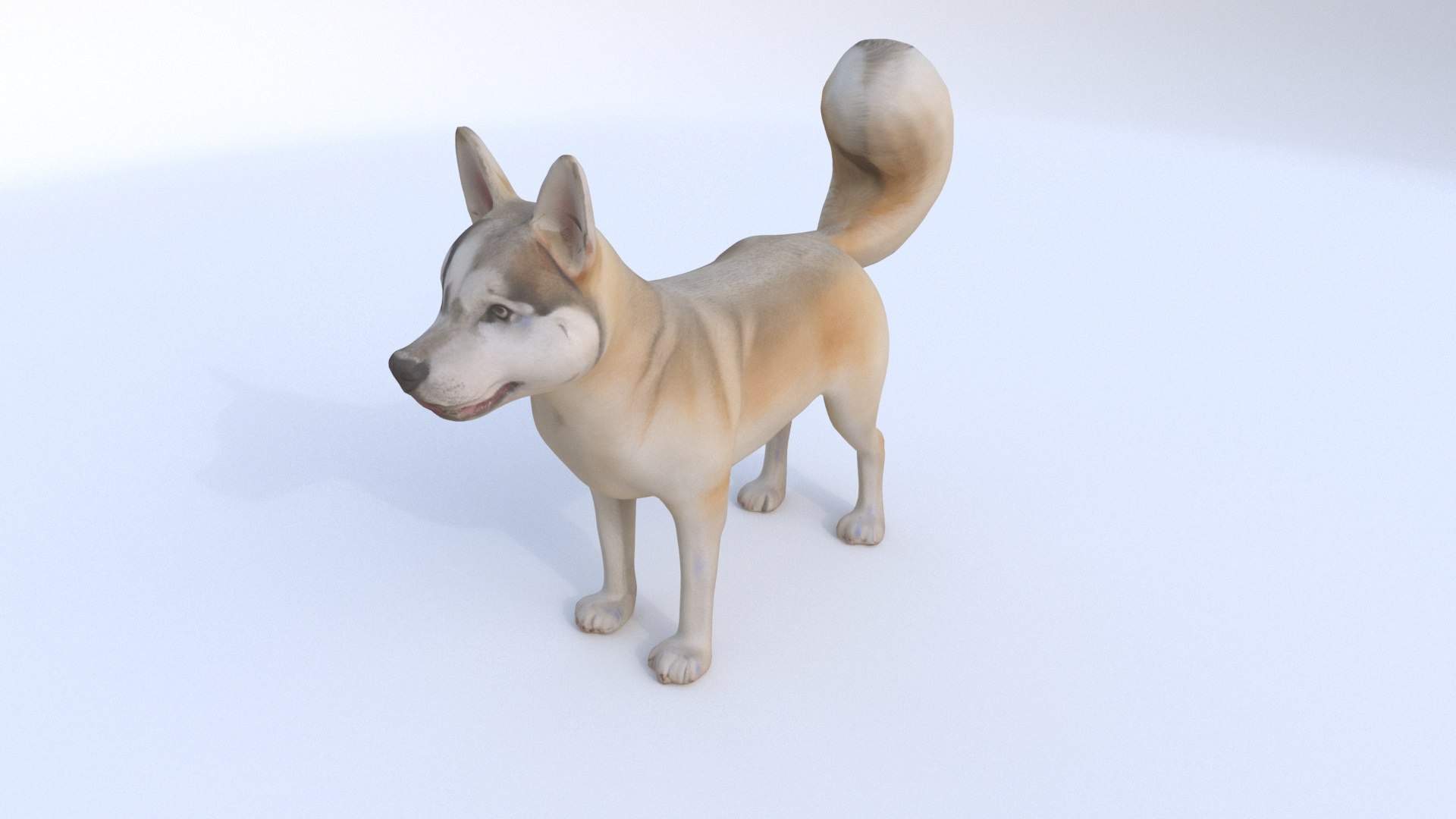 3D Siberian Husky - TurboSquid 2333766