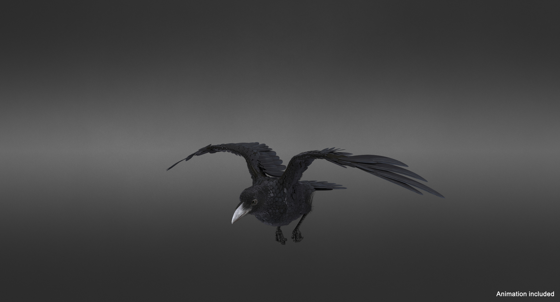 3D Soars Common Raven Rigged - TurboSquid 1428913