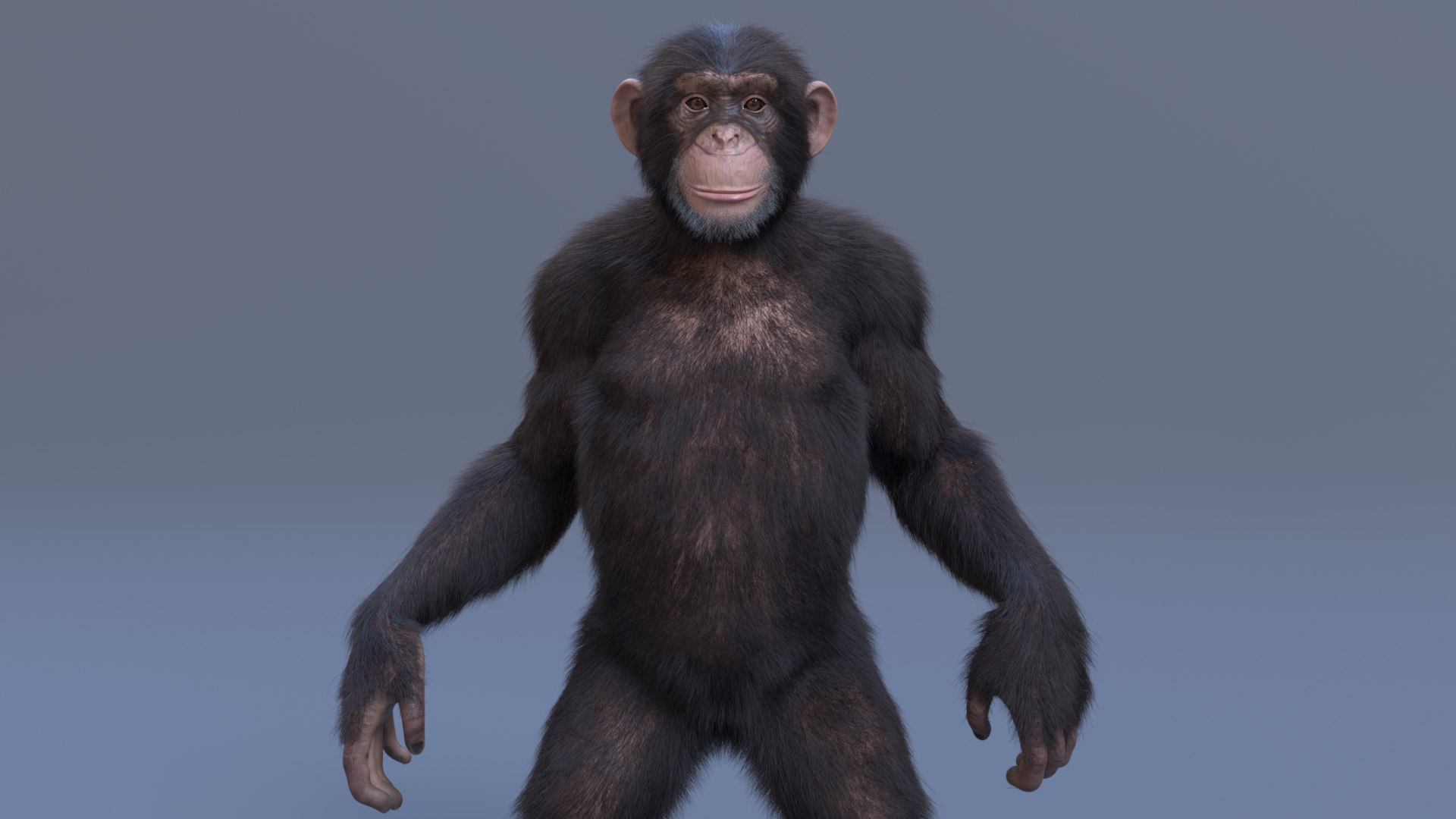 3D Chimpanzee Model - TurboSquid 2275890