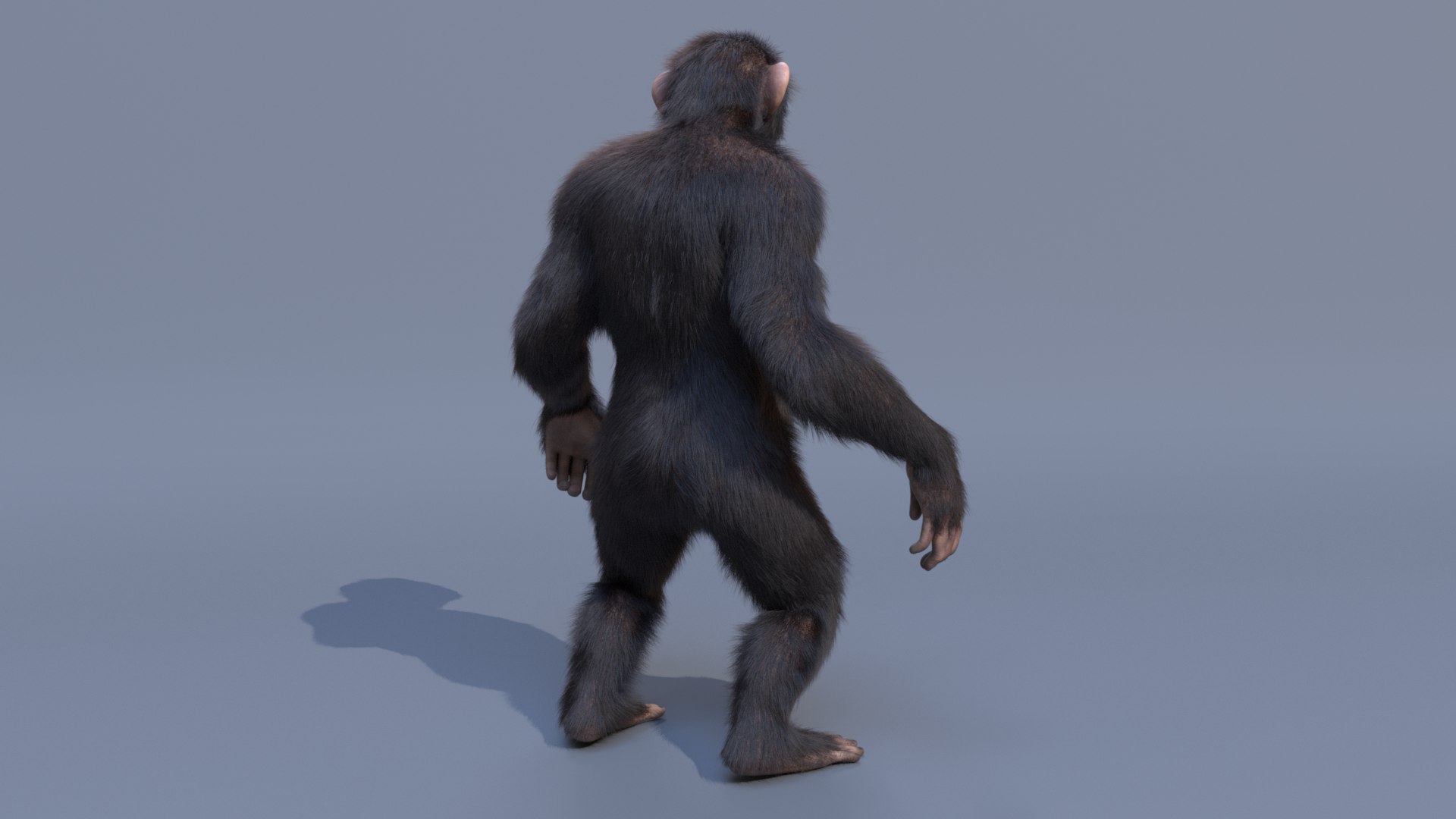 3D Chimpanzee Model - TurboSquid 2275890