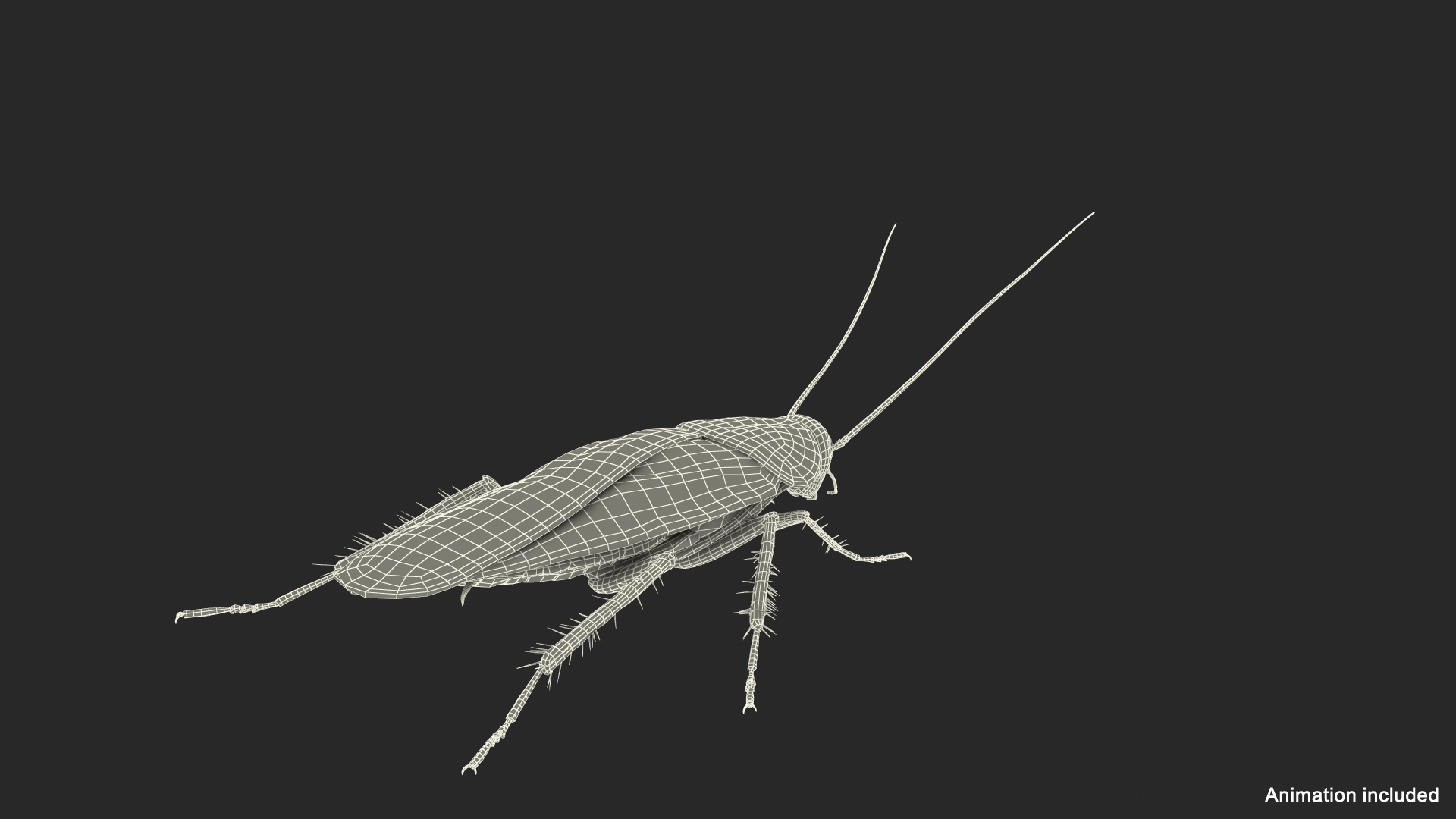 3D Cockroach Cleans Paw Animal Model - TurboSquid 1486992