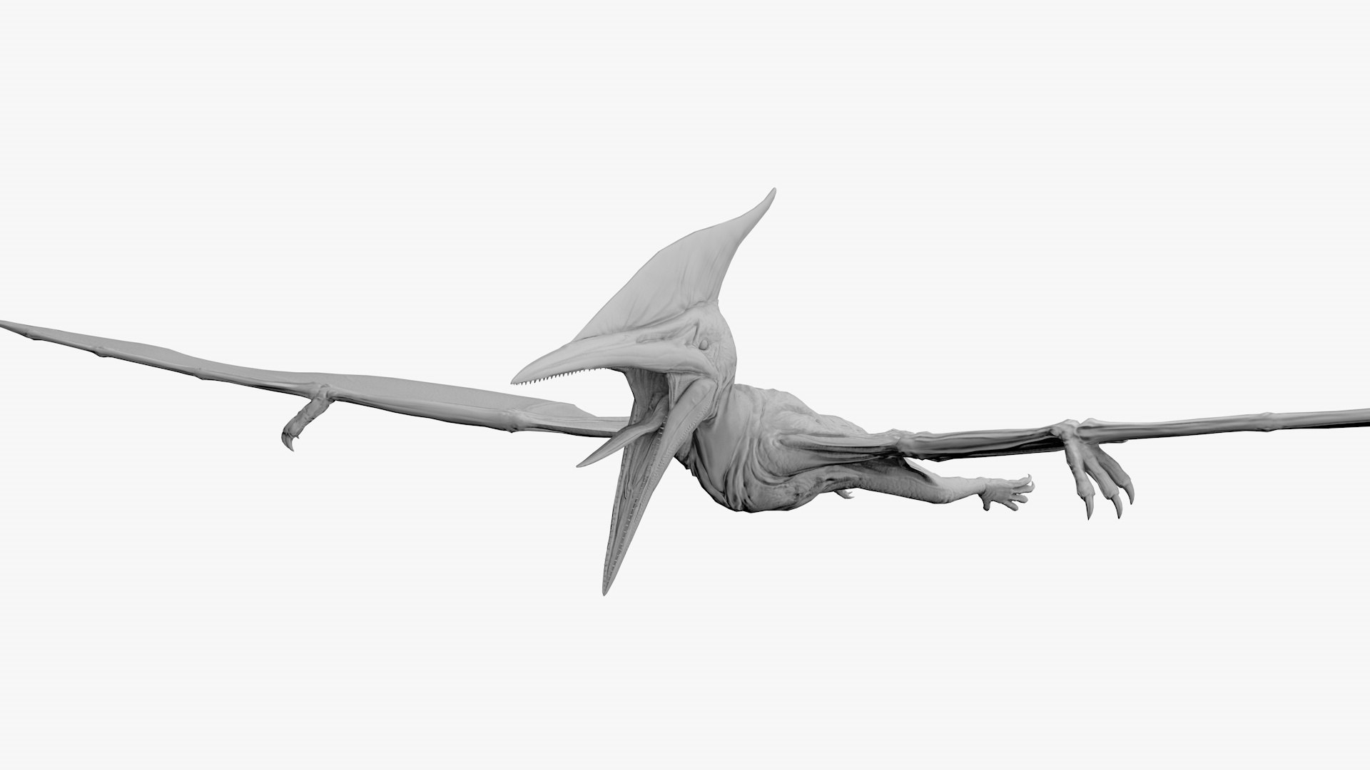 Pterodactyl Dinosaur 3D Model - TurboSquid 2342010