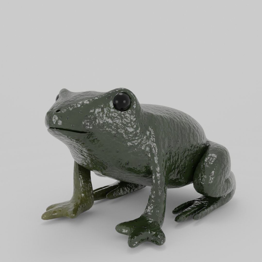 Frog 3D Model - TurboSquid 1923974