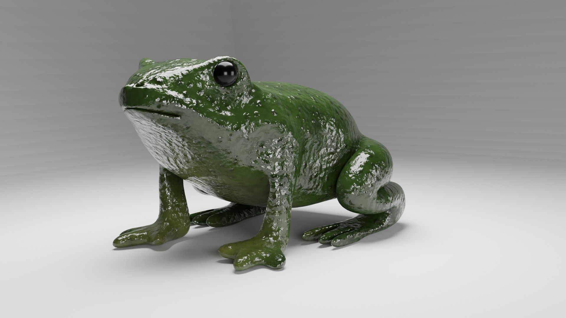 Frog 3D Model - TurboSquid 1923974