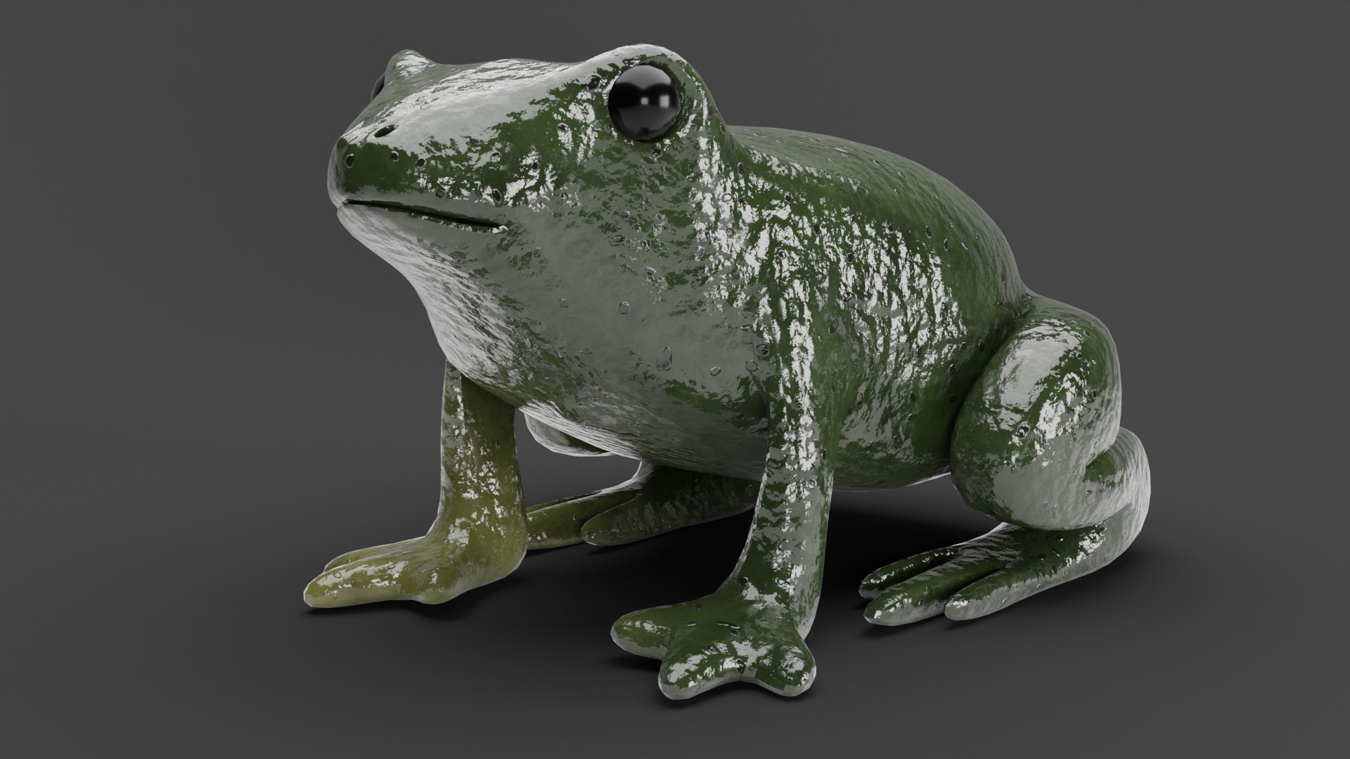Frog 3D Model - TurboSquid 1923974