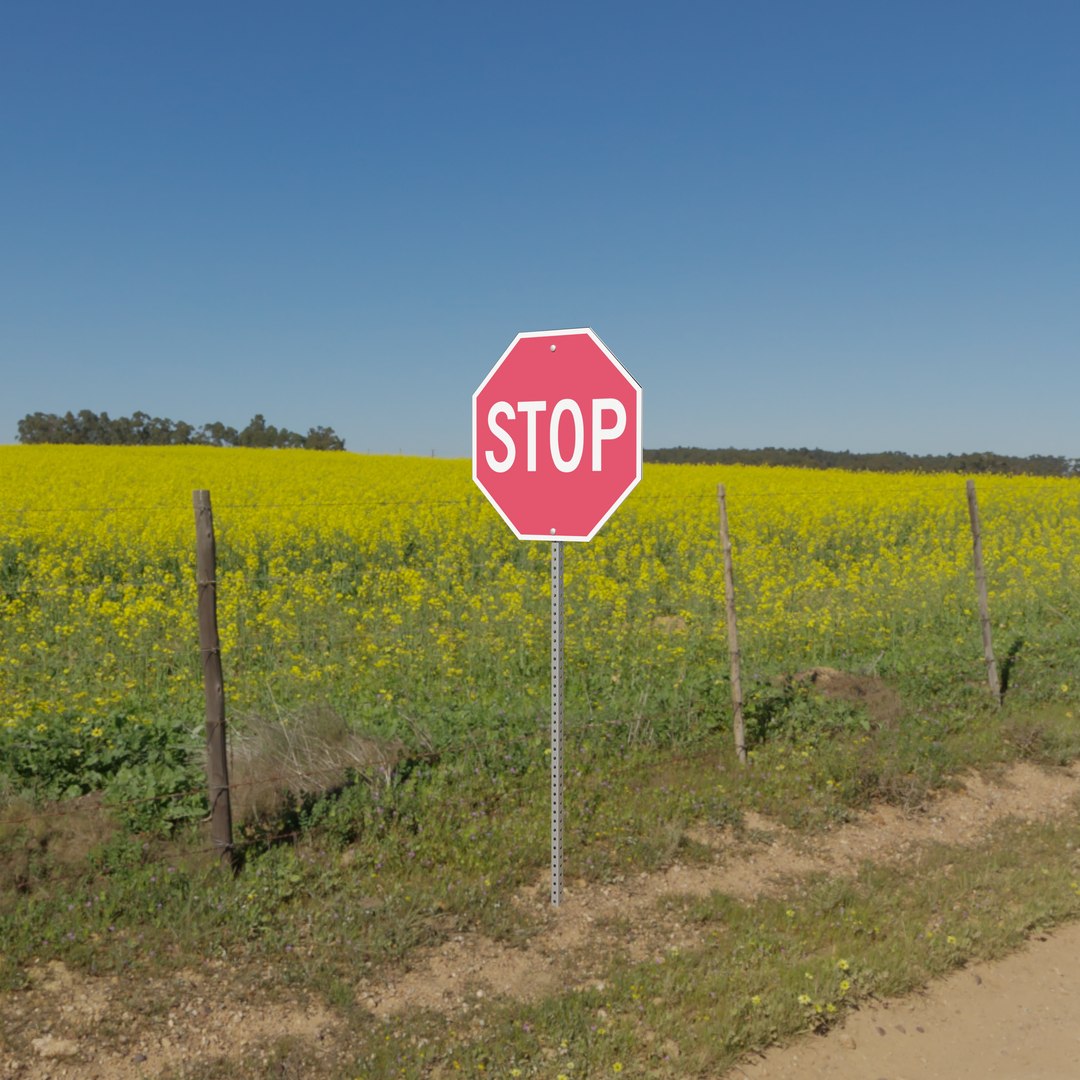 Stop Sign 3D Model - TurboSquid 1441350