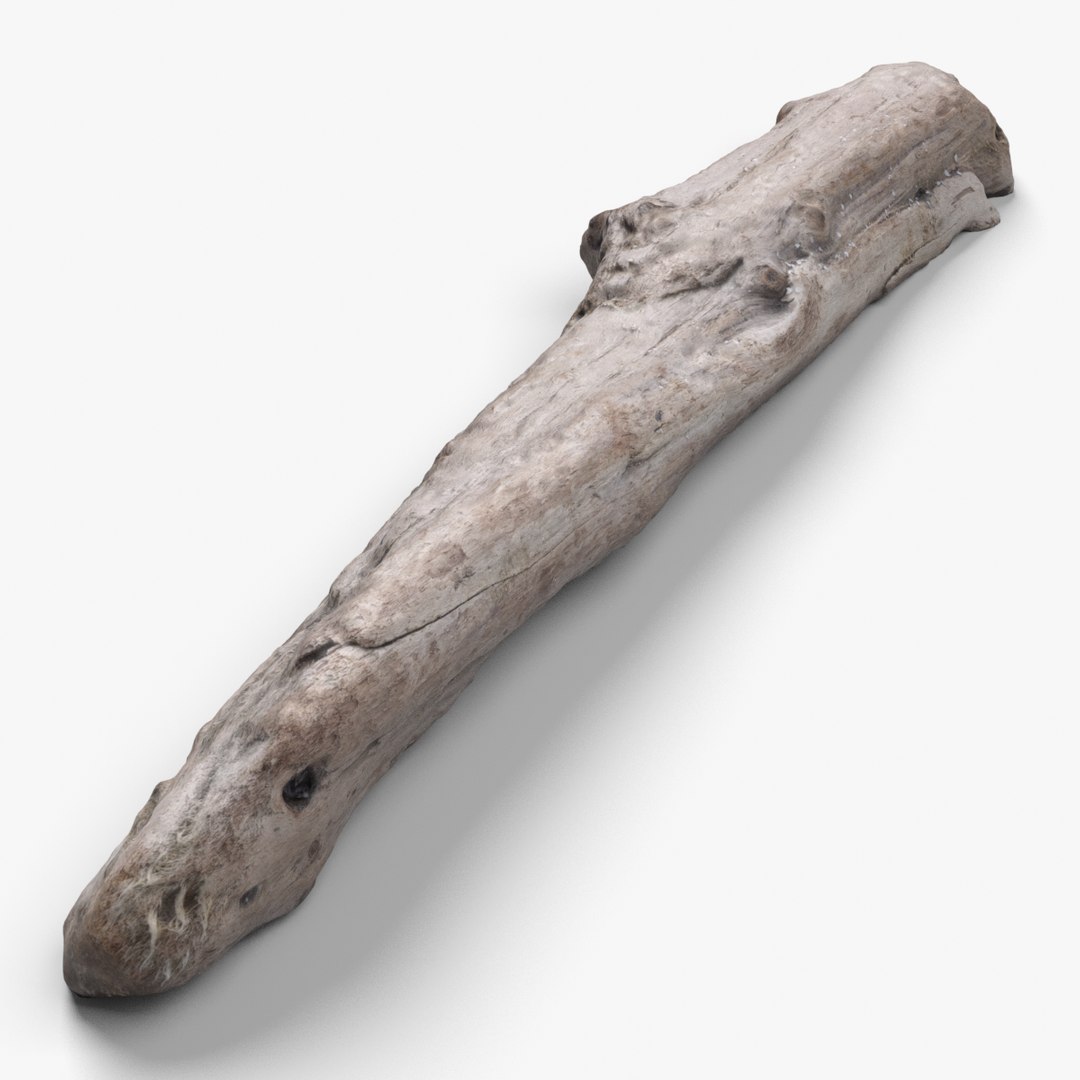 3D Driftwood 2 model - TurboSquid 1760892