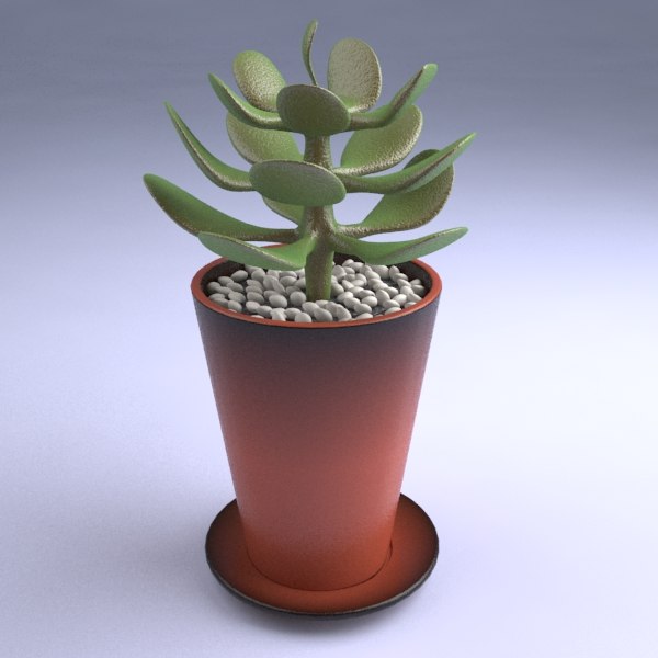 Free Succulent 3D Models for Download | TurboSquid