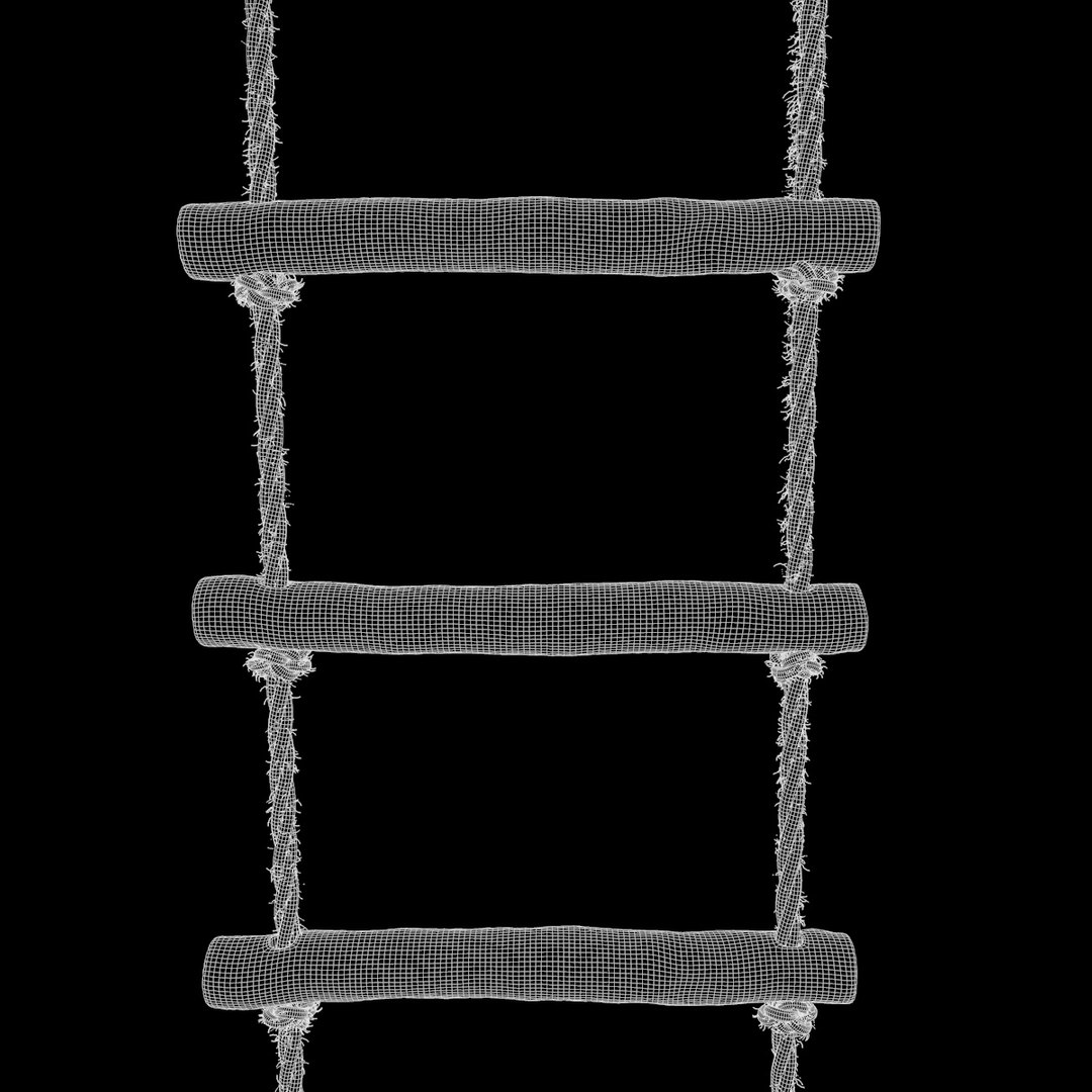 3d Ladder 5 Step Model