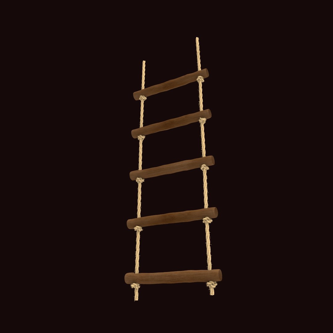 3d Ladder 5 Step Model