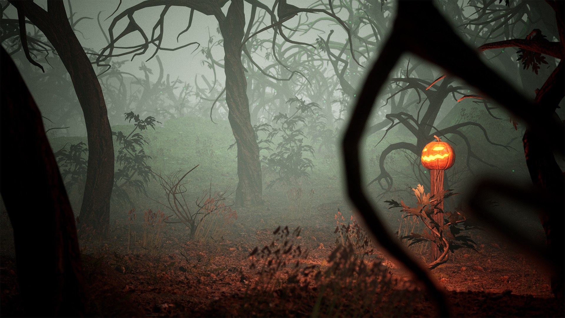 3D Model Witch Forest 60 Assets - TurboSquid 2113453