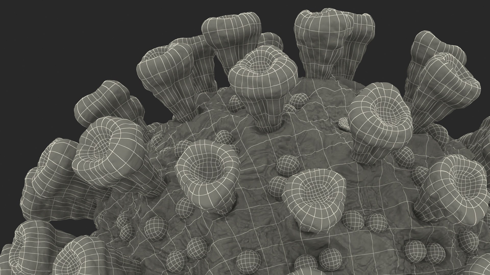 3D coronavirus mers-cov cross section model - TurboSquid 1519017