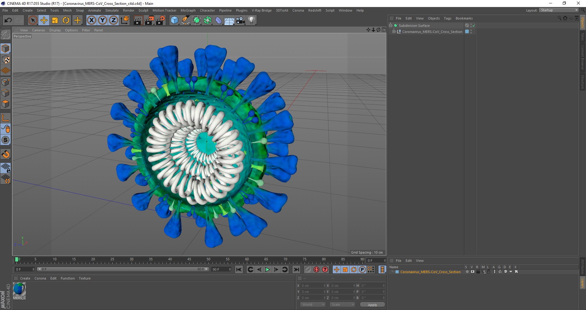 3D coronavirus mers-cov cross section model - TurboSquid 1519017