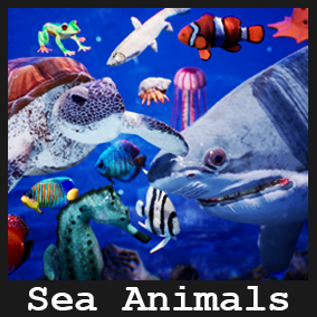 Sea Animals 12 Meshes 3D Model - TurboSquid 2109585