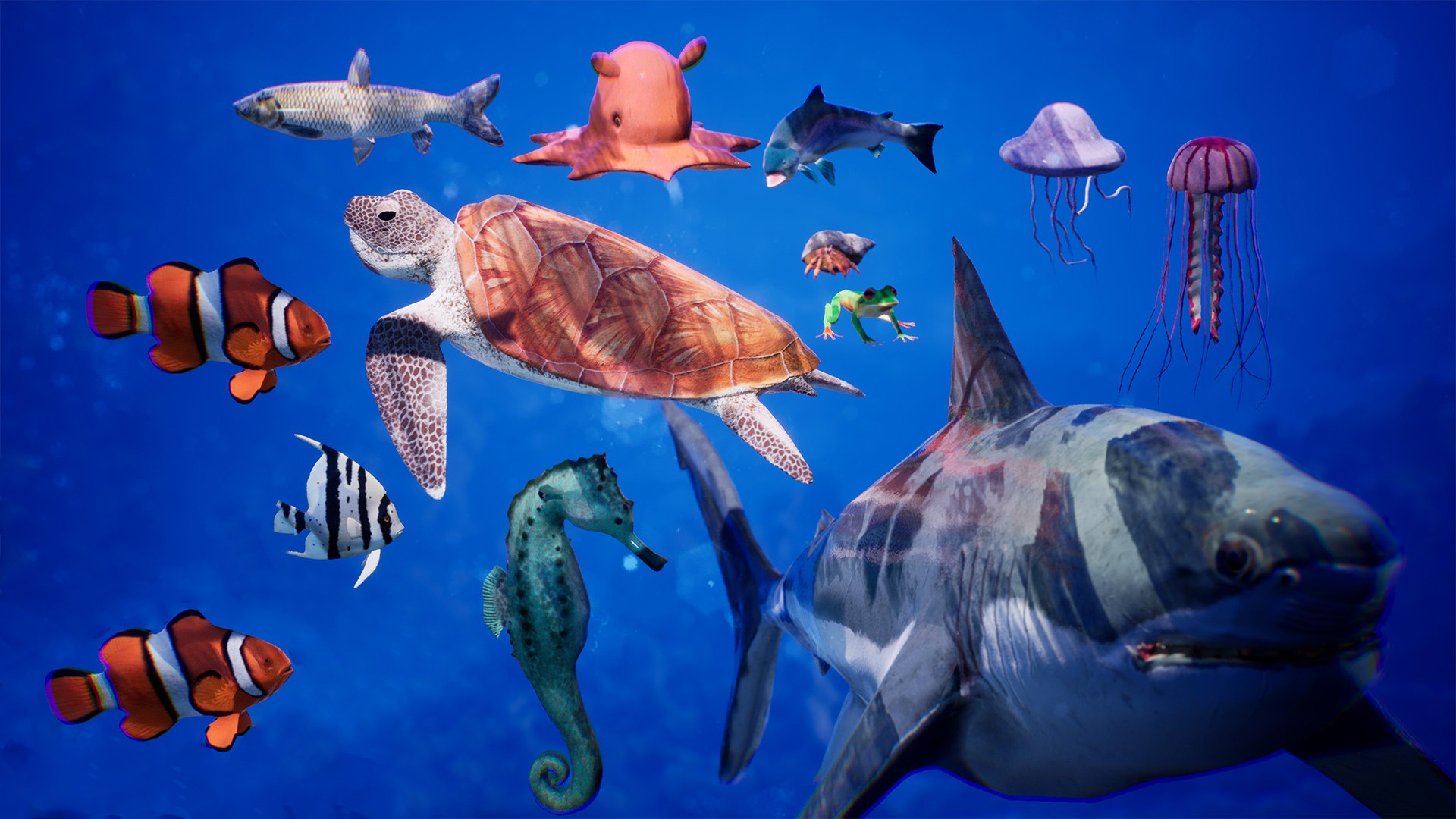 Sea Animals 12 Meshes 3D Model - TurboSquid 2109585